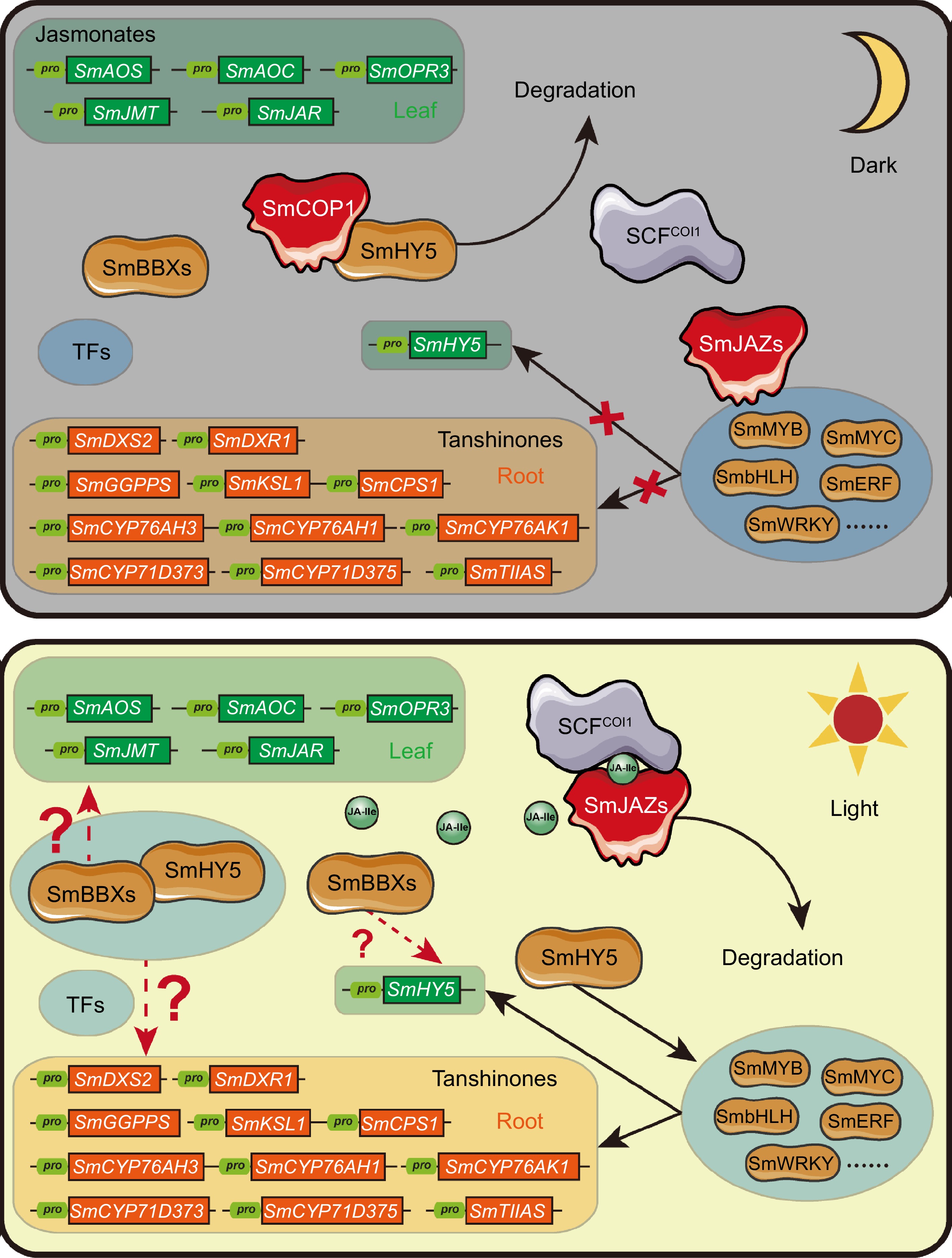 Transcriptome and yeast two-hybrid sequencing shed light on the ...
