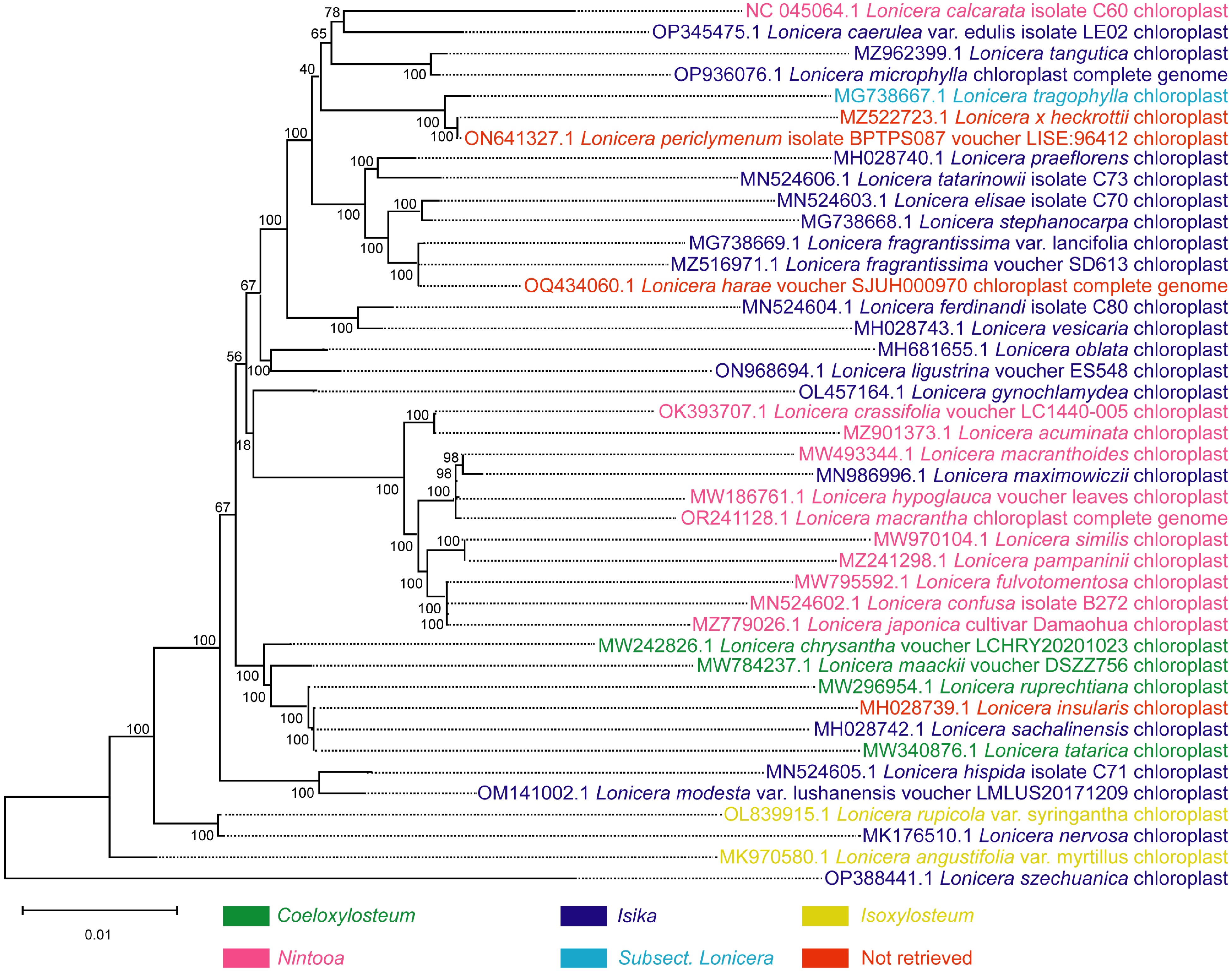 Research progress on the biosynthesis, metabolic engineering, and ...