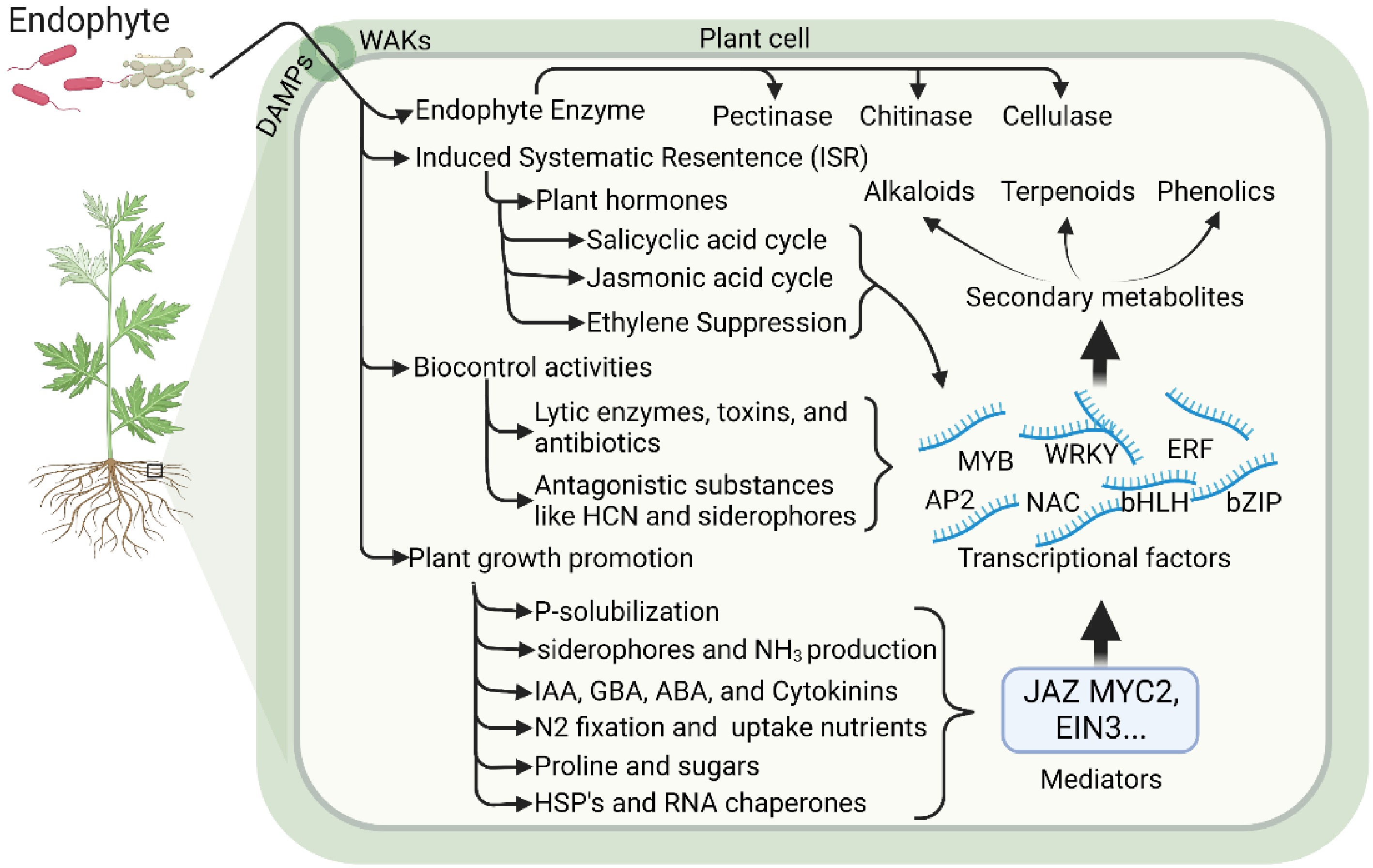 Environmental factors on secondary metabolism in medicinal plants ...