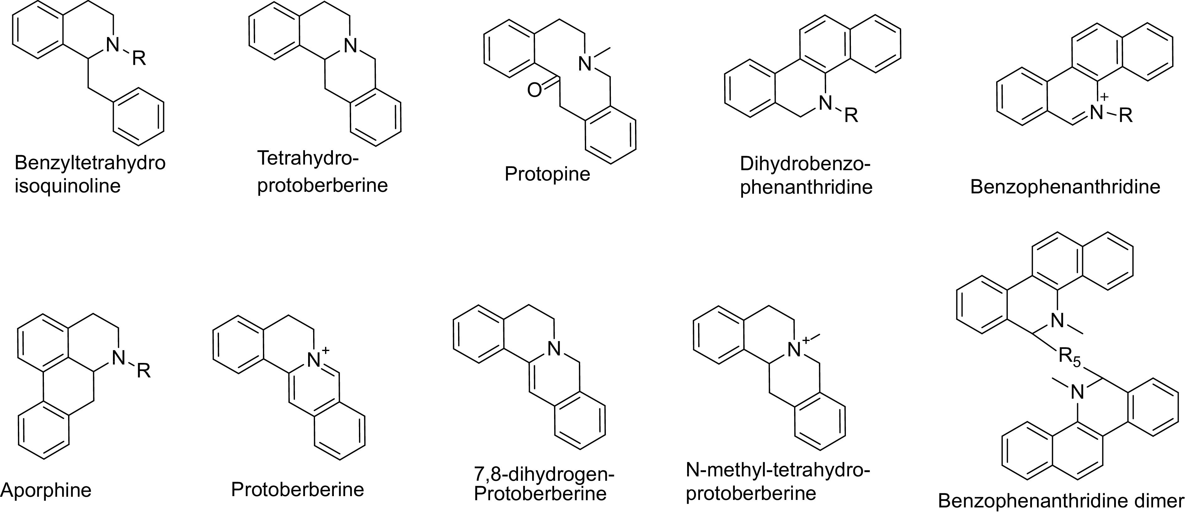 Systemic review of Macleaya cordata genetics, biosynthesis of active ...