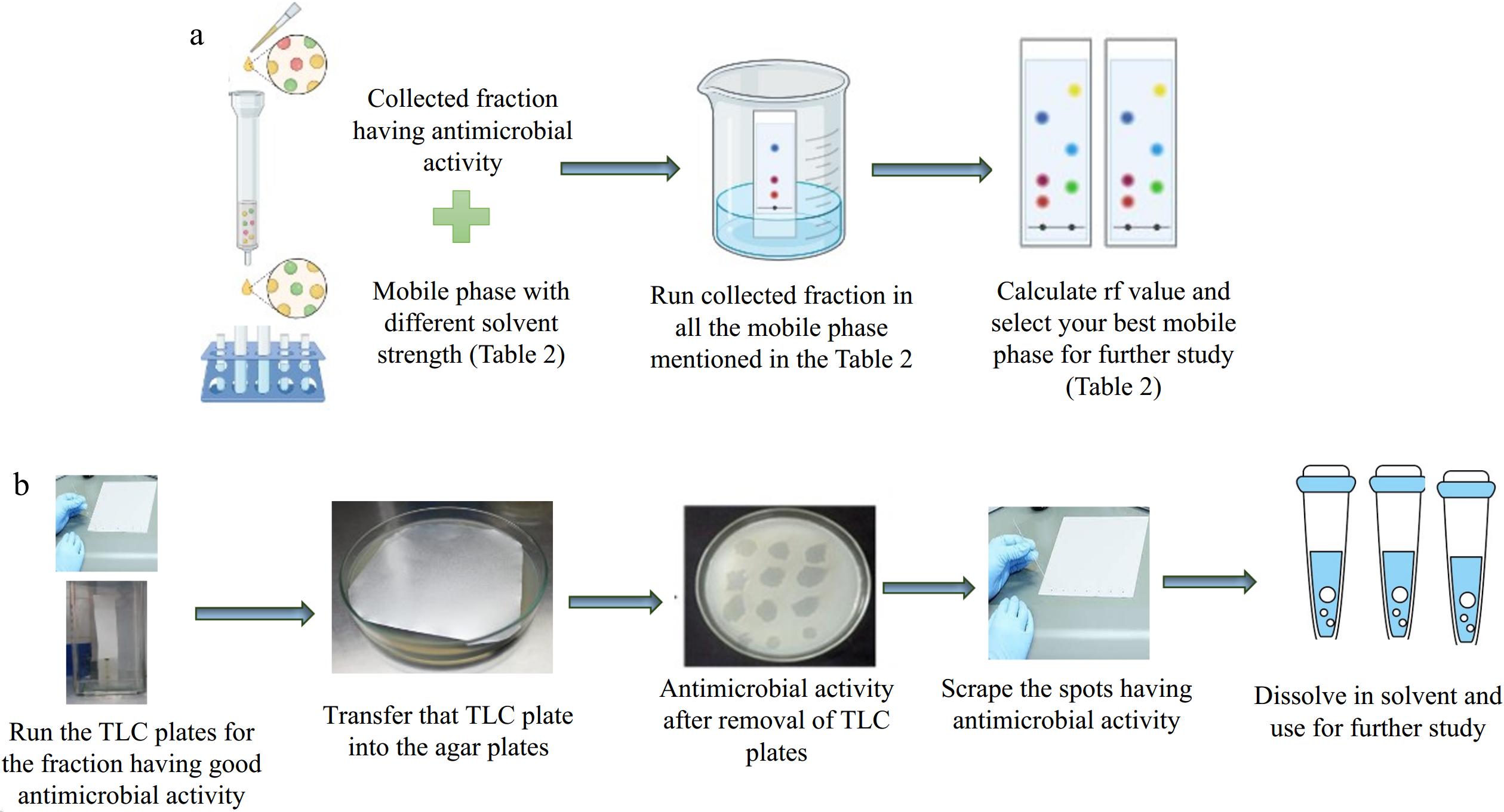 Strategic engineering for detecting antimicrobial compounds from Taxus ...