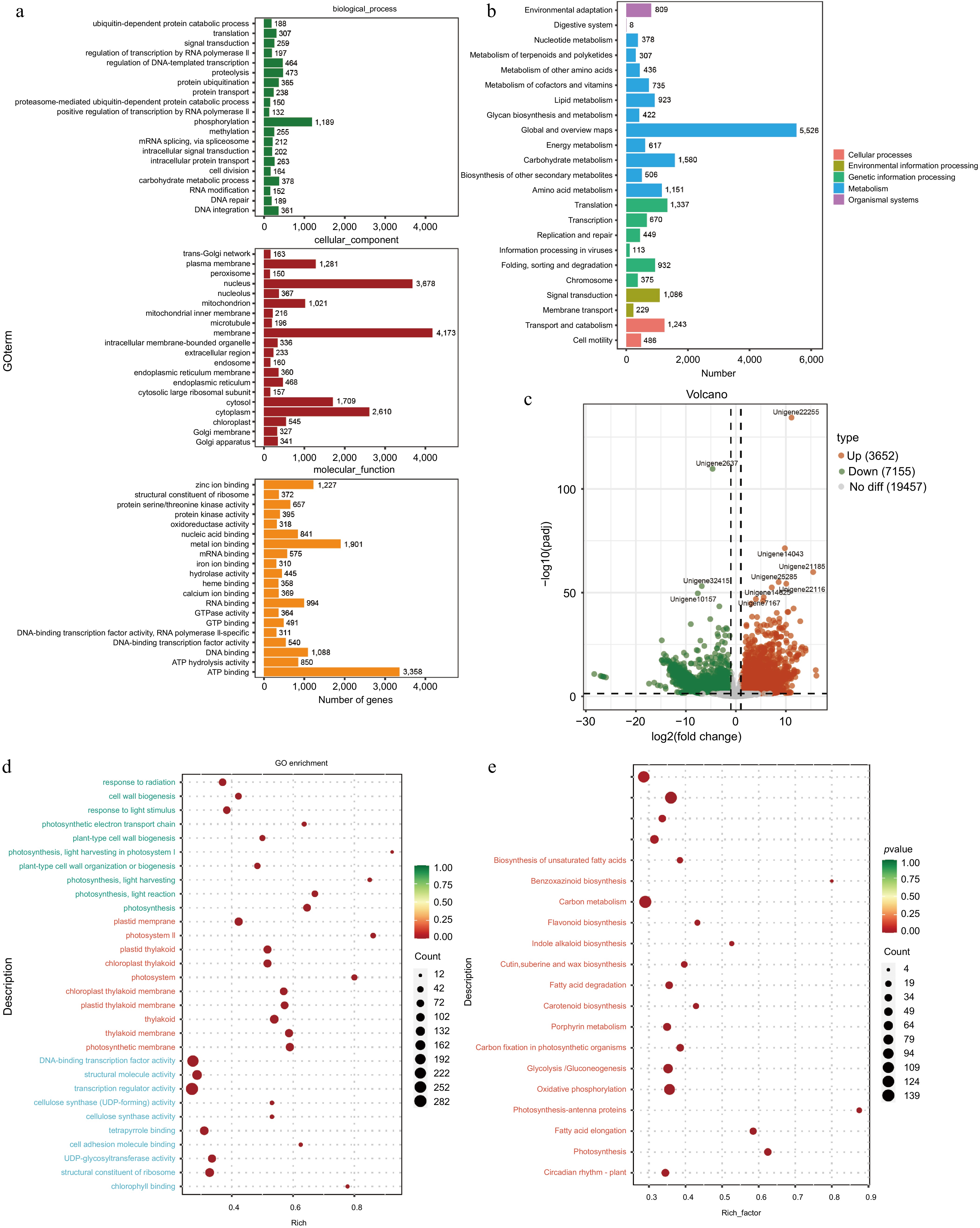 Integrated amplicon sequencing and transcriptomic sequencing technology reveals changes in the ...