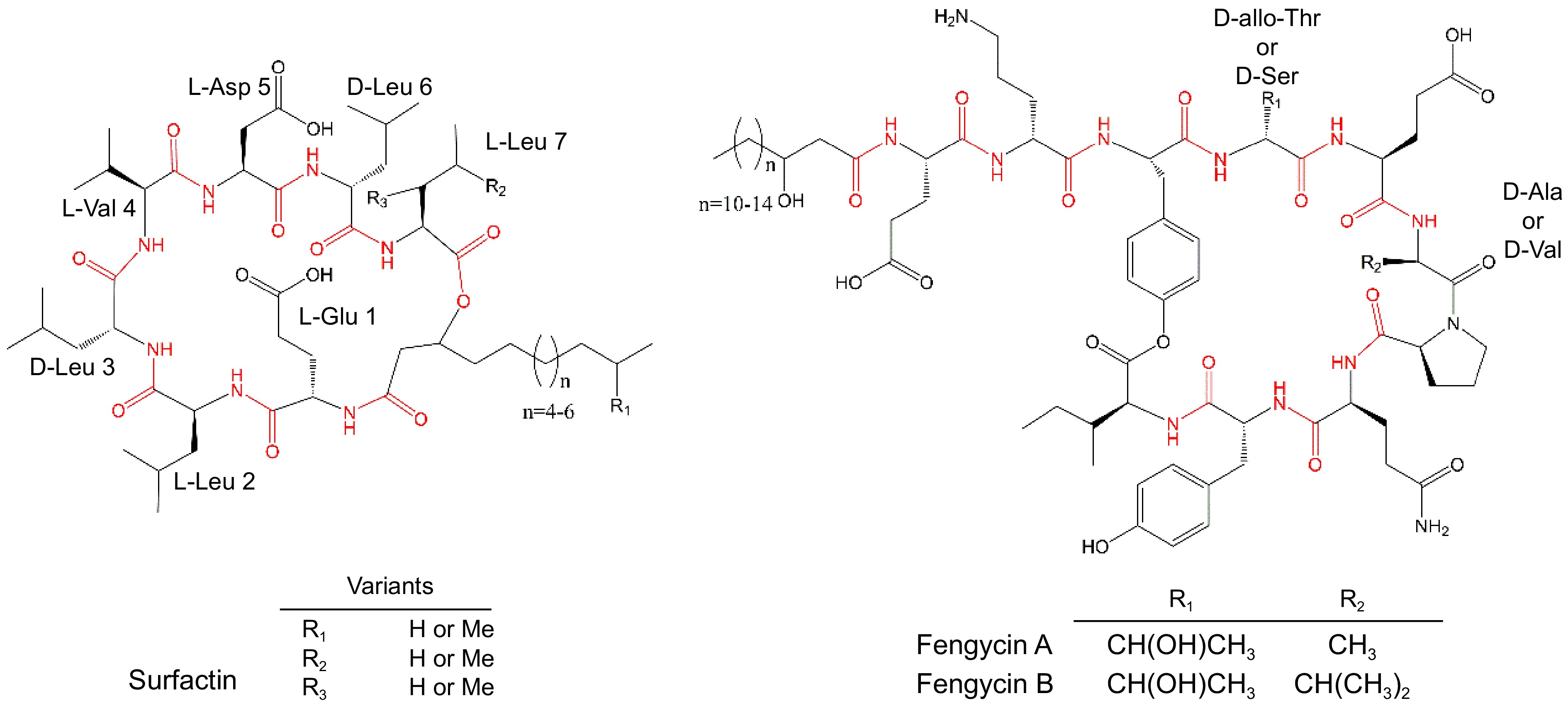 Bacillus subtilis ge28, a potential biocontrol agent for controlling ...