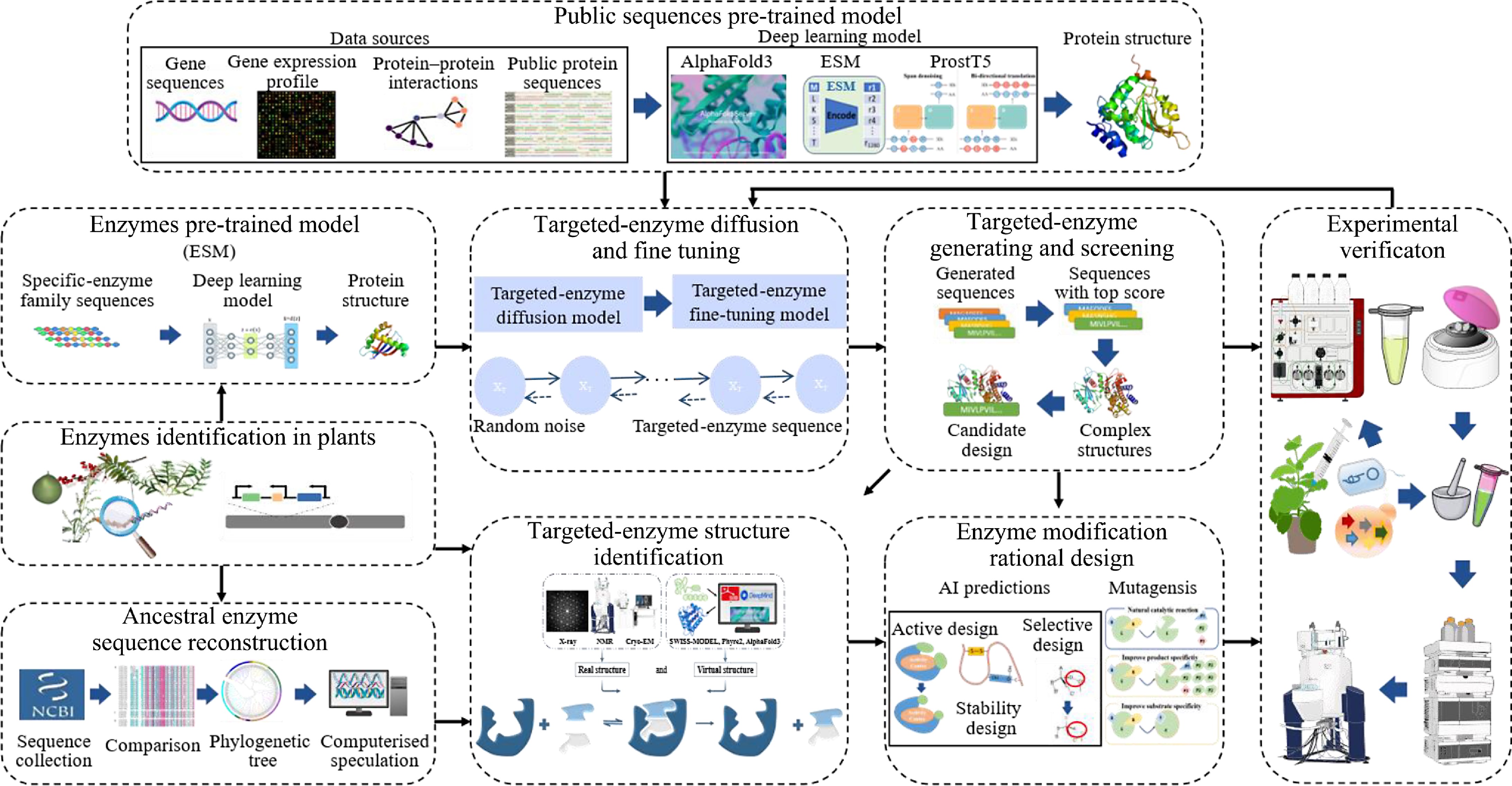 Artificial intelligence in the discovery and modification of biological ...