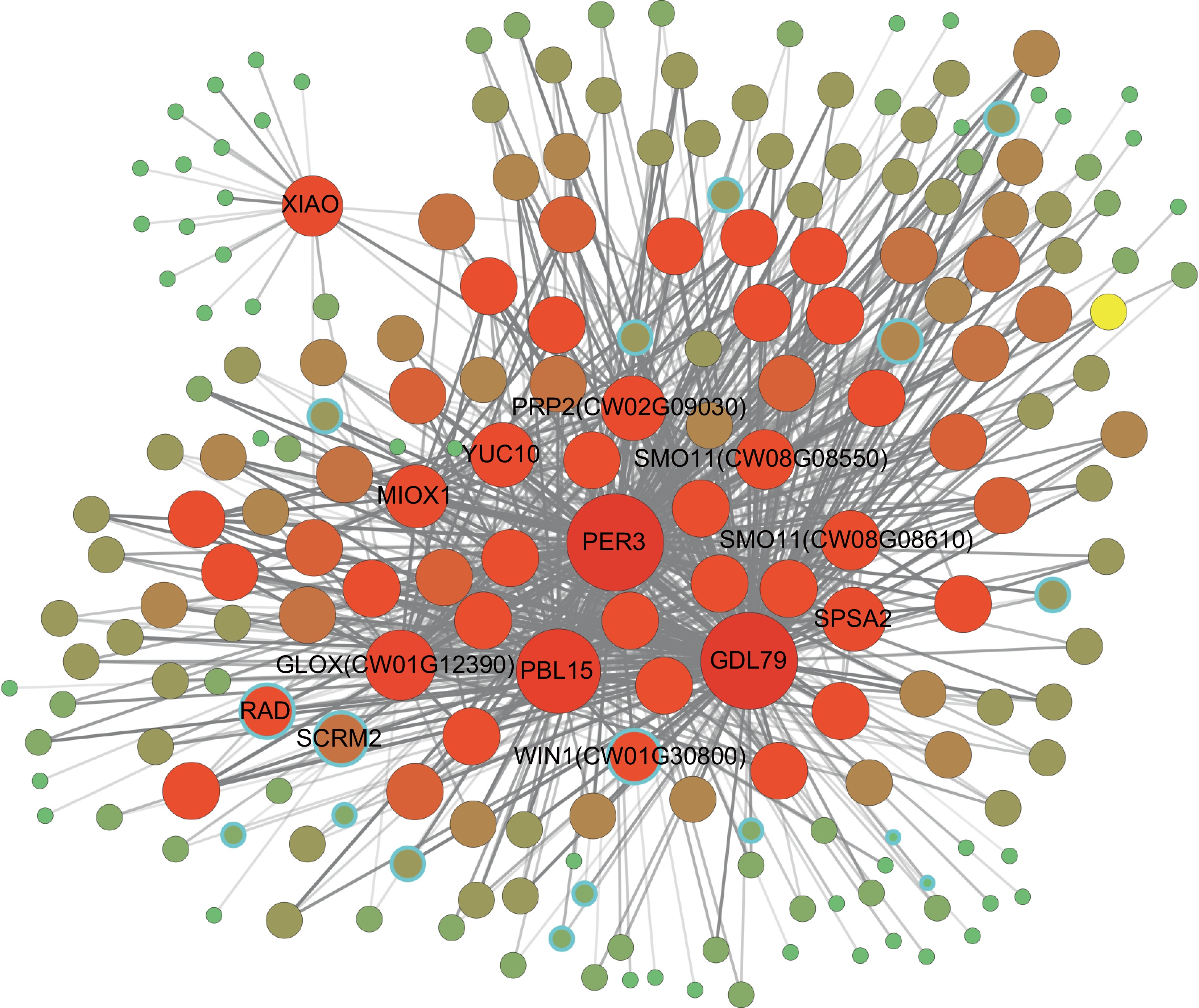Integration of metabolome and transcriptome reveals flavonoid metabolic network during the ...