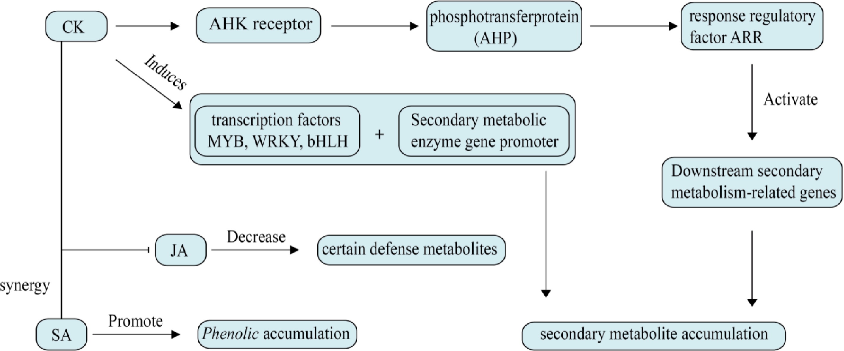 Regulation of plant hormones on the secondary metabolism of medicinal ...