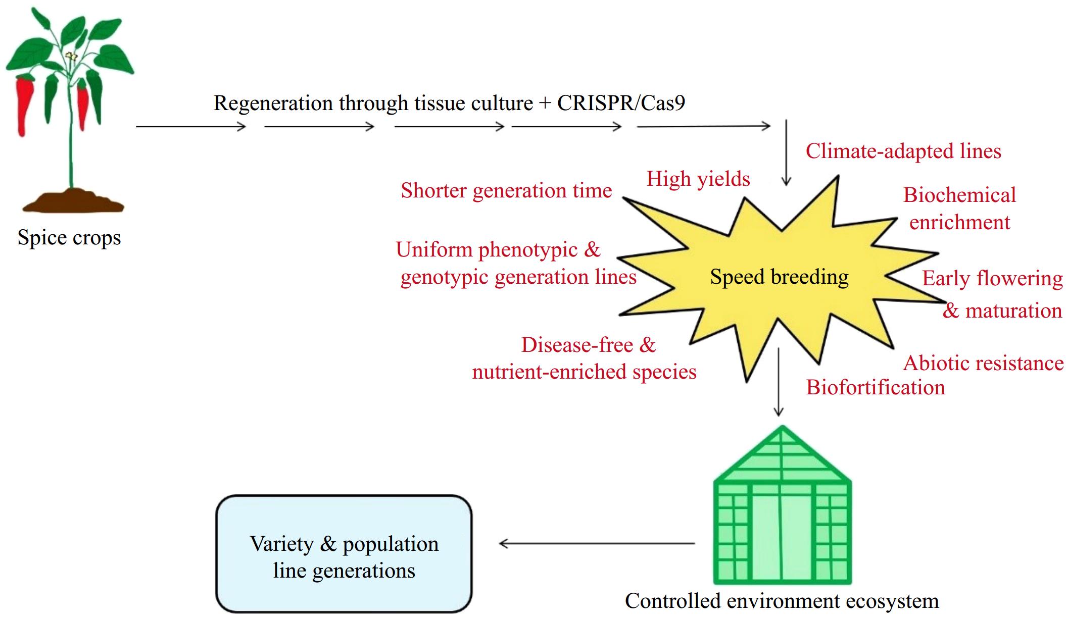 Interventions of plant tissue culture techniques and genome editing in ...