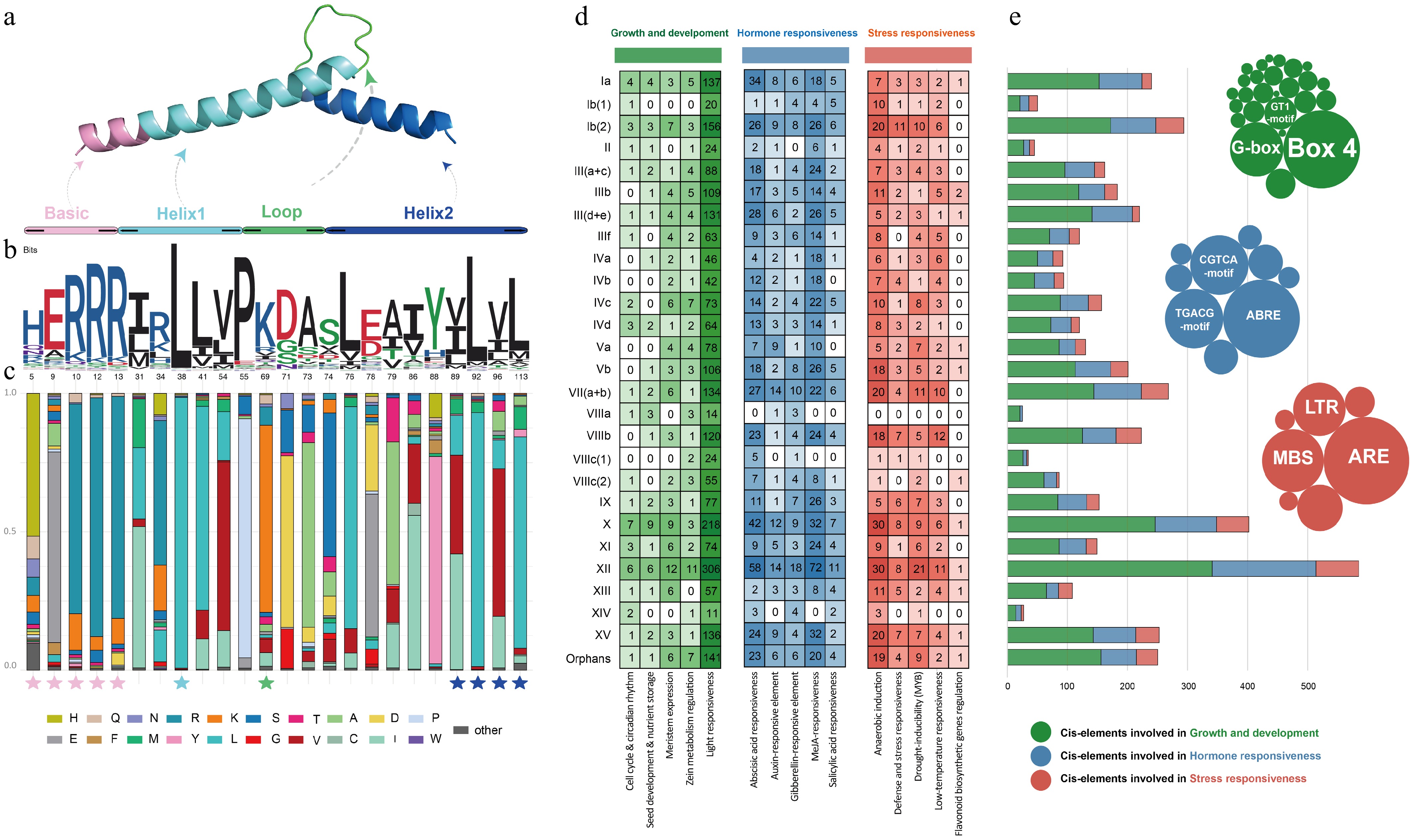 The basic helix-loop-helix (bHLH) gene family in Clinacanthus nutans ...