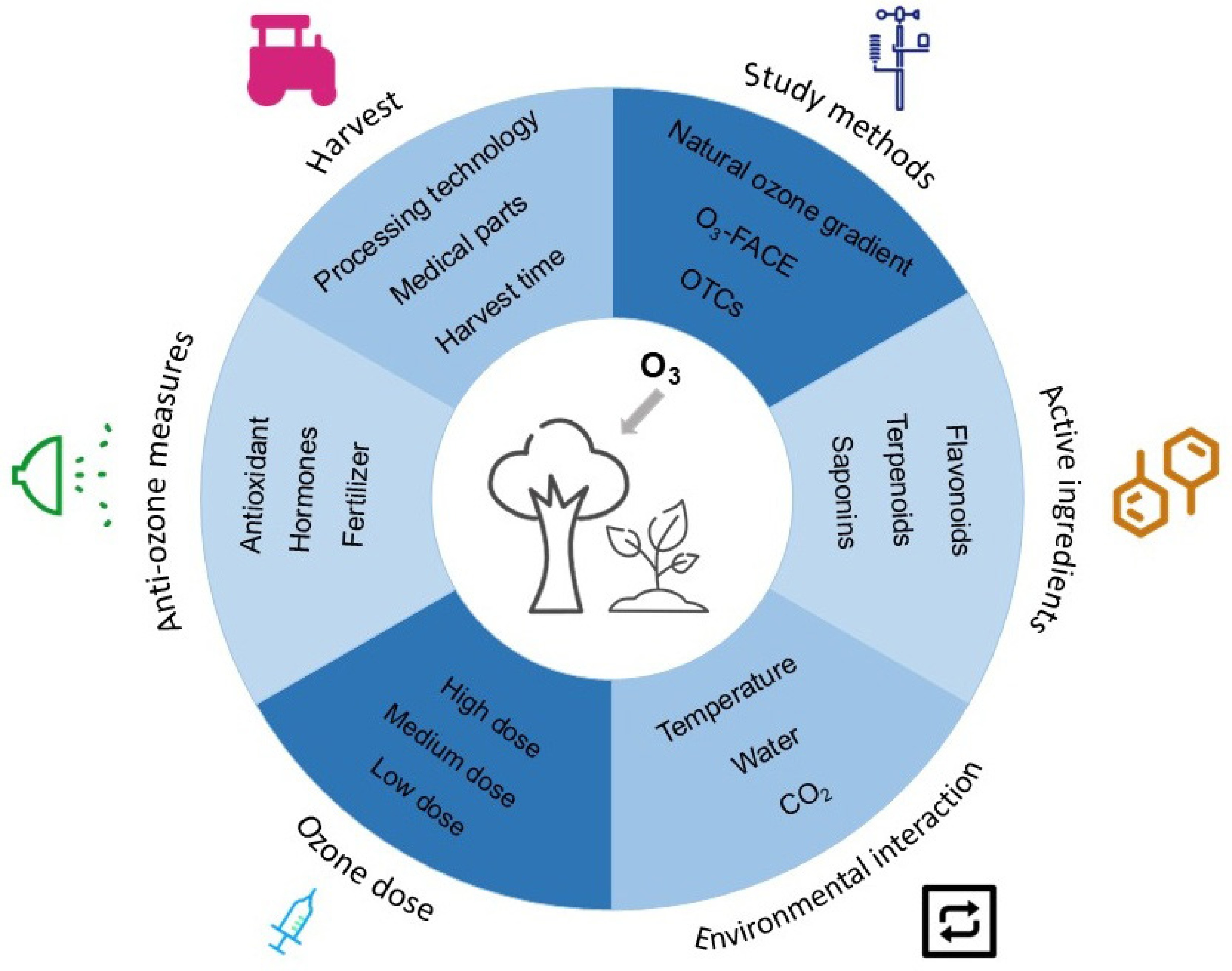Ground-level ozone stress in medicinal plants: response mechanisms and ...