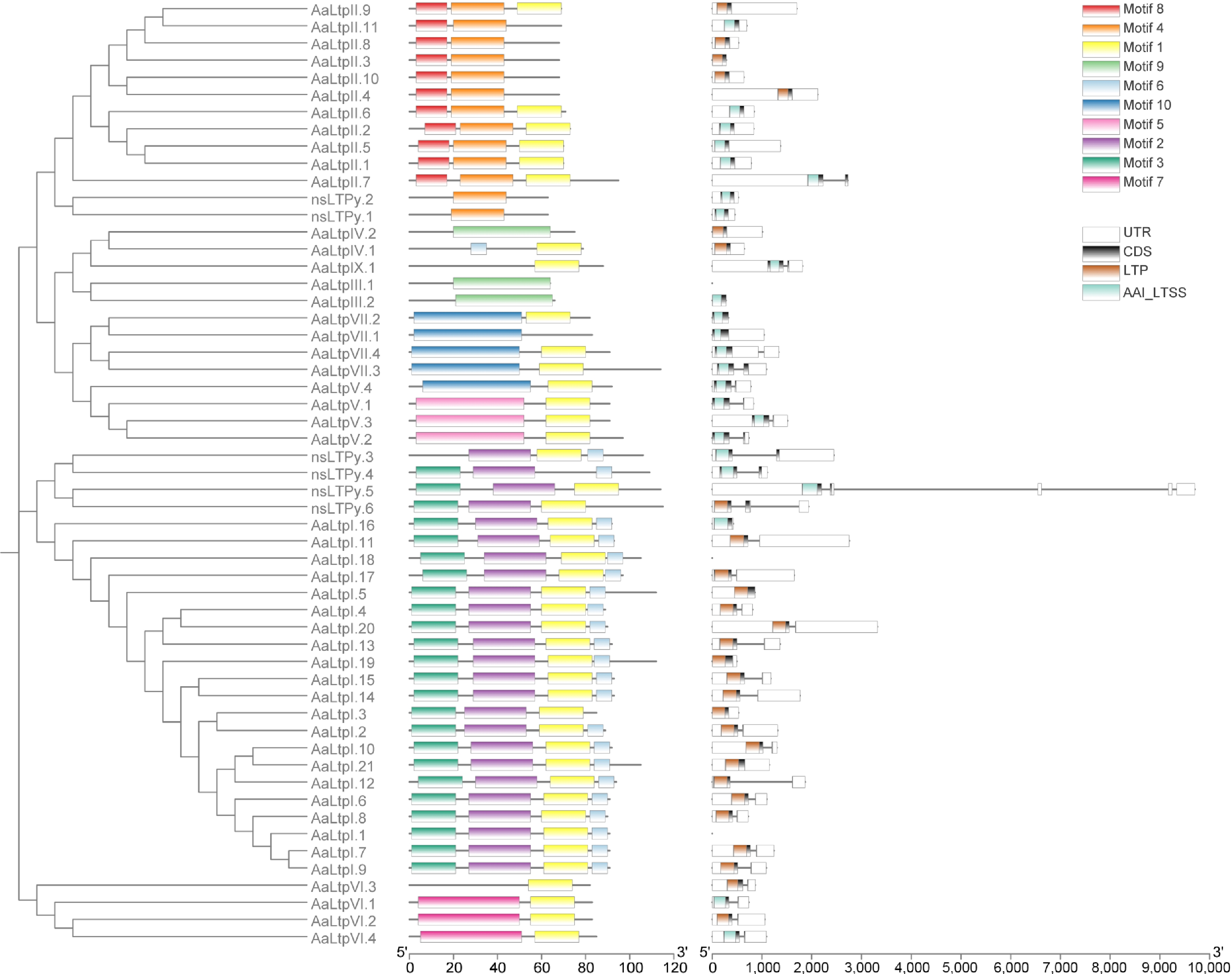 Comprehensive genome-wide identification and functional ...