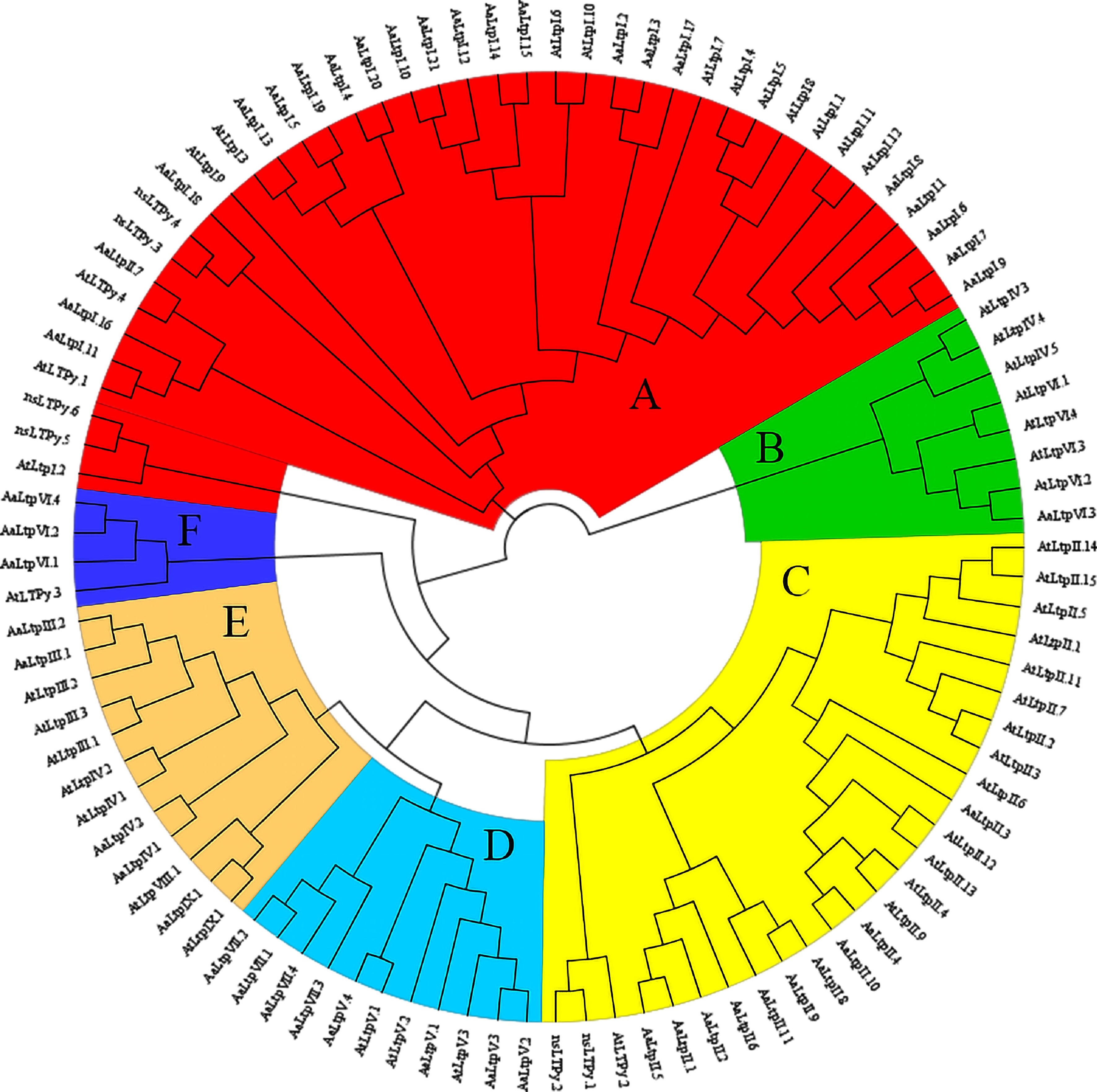 Comprehensive genome-wide identification and functional ...