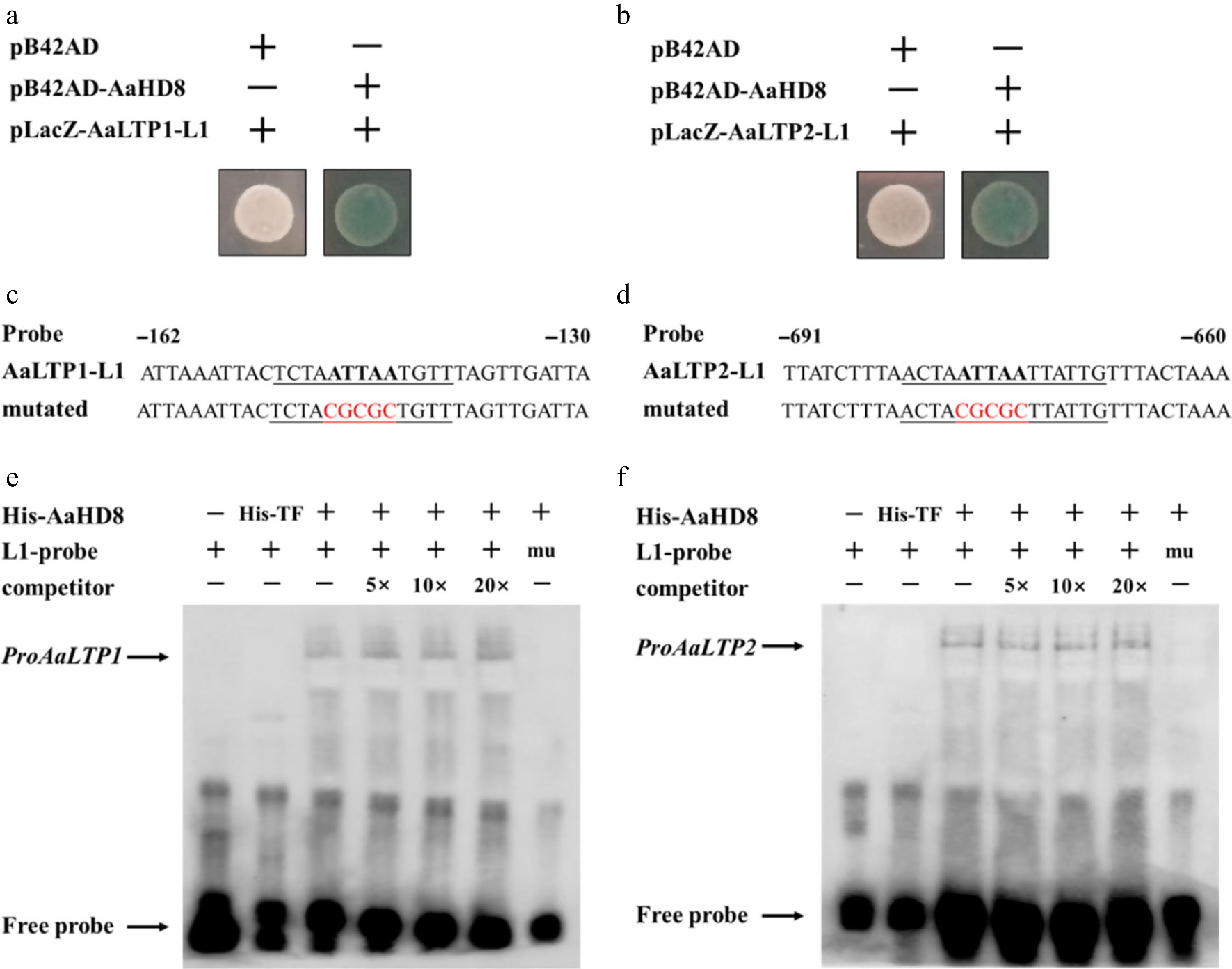 Comprehensive genome-wide identification and functional ...