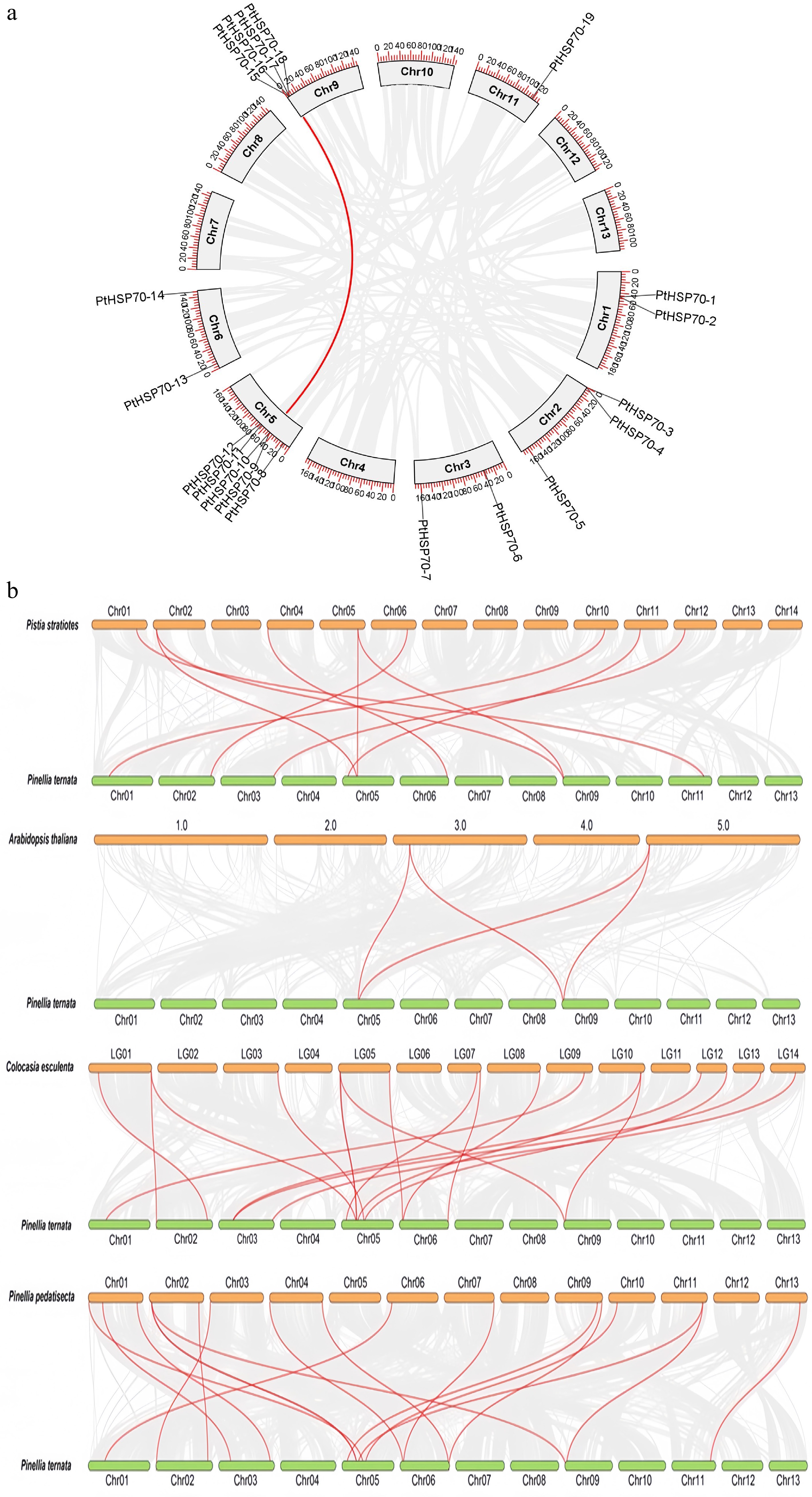 Genome-wide identification and stress-responsive expression profiling ...