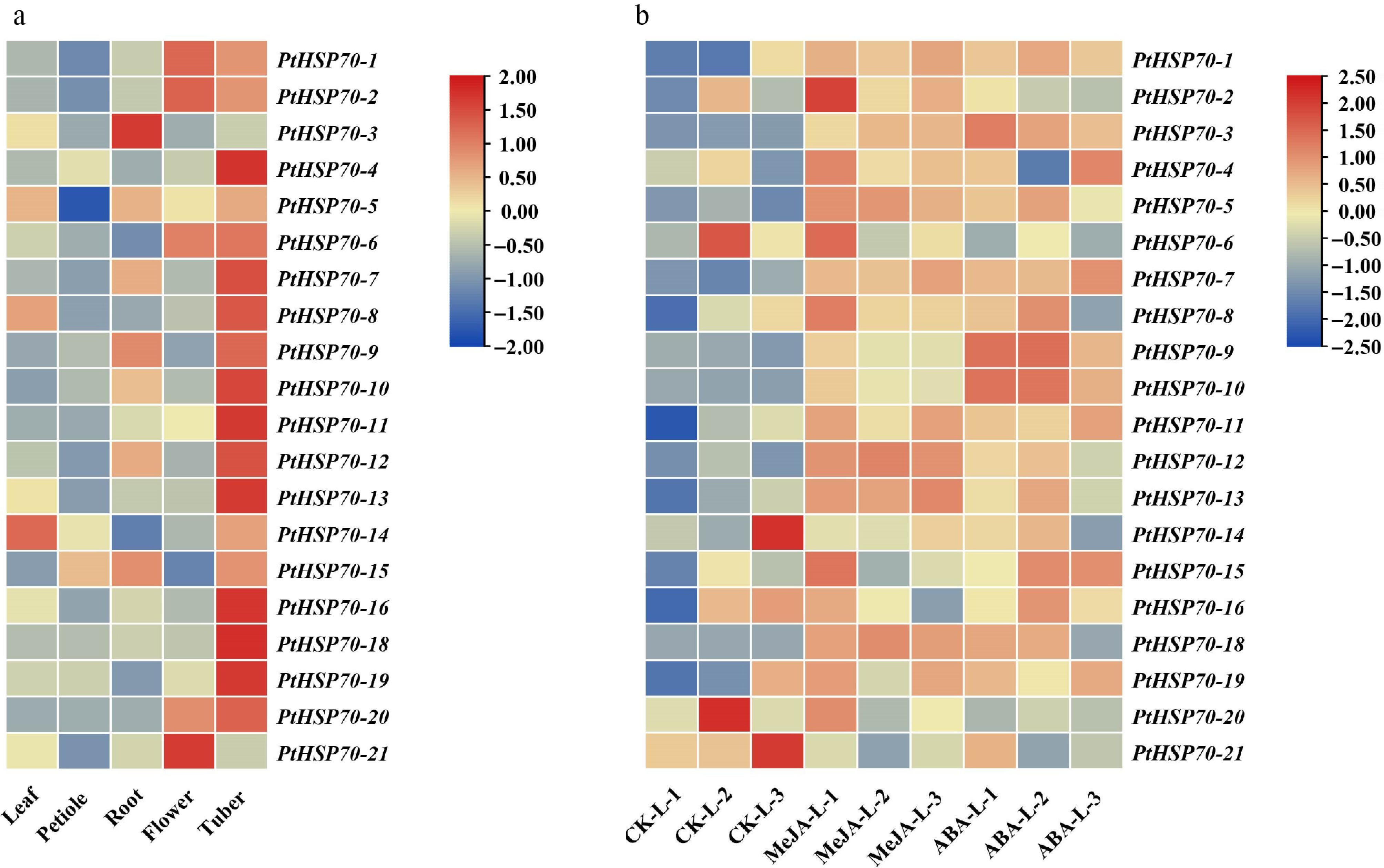 Genome-wide identification and stress-responsive expression profiling ...