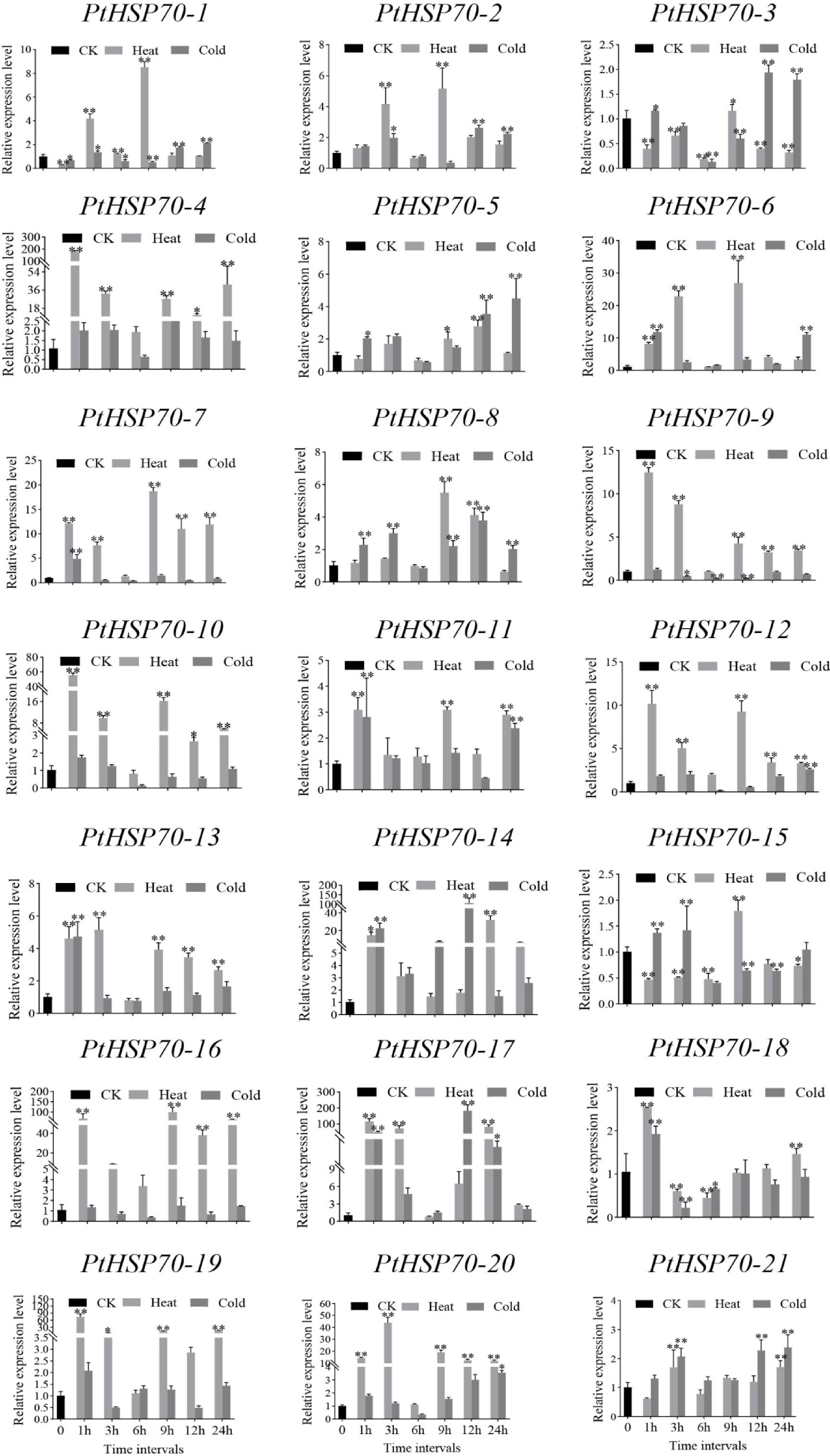 Genome-wide identification and stress-responsive expression profiling ...