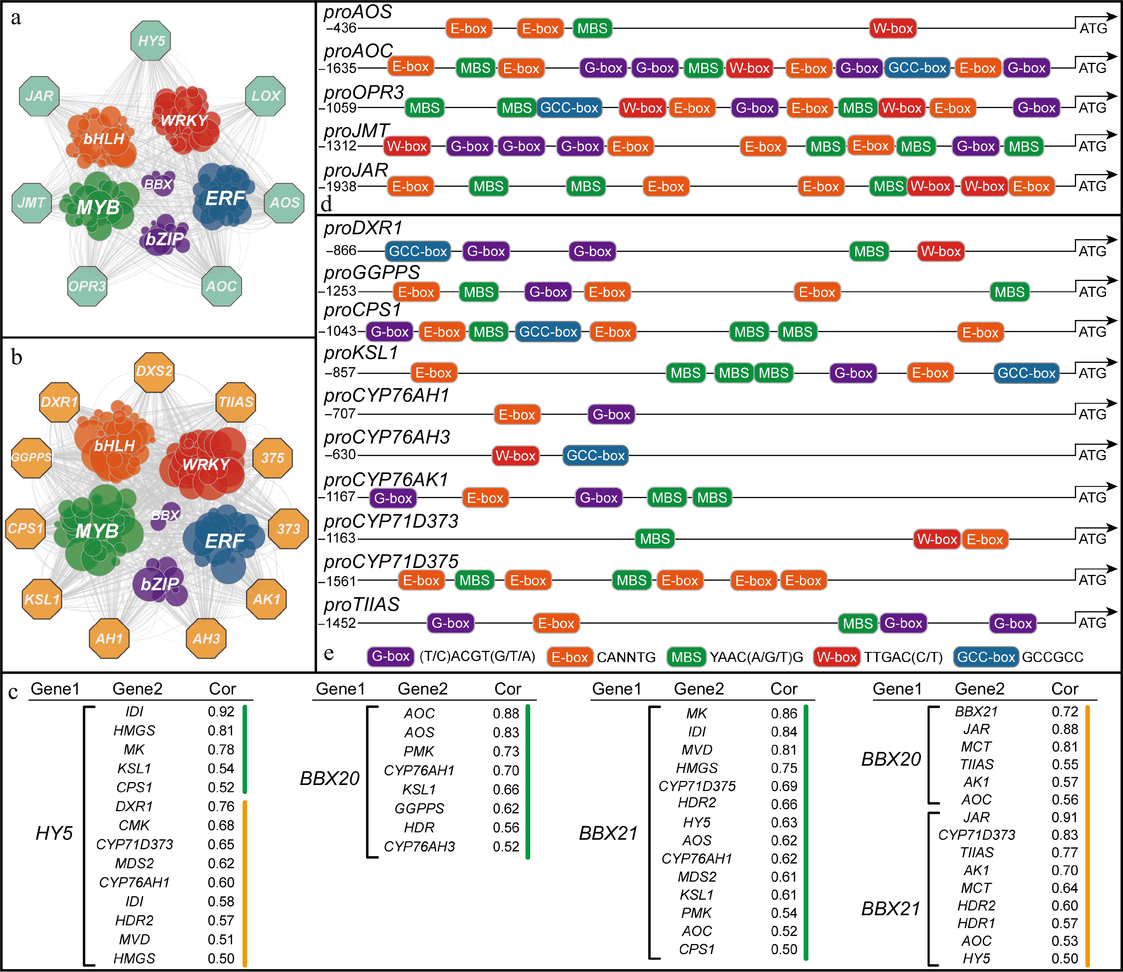 Transcriptome and yeast two-hybrid sequencing shed light on the ...