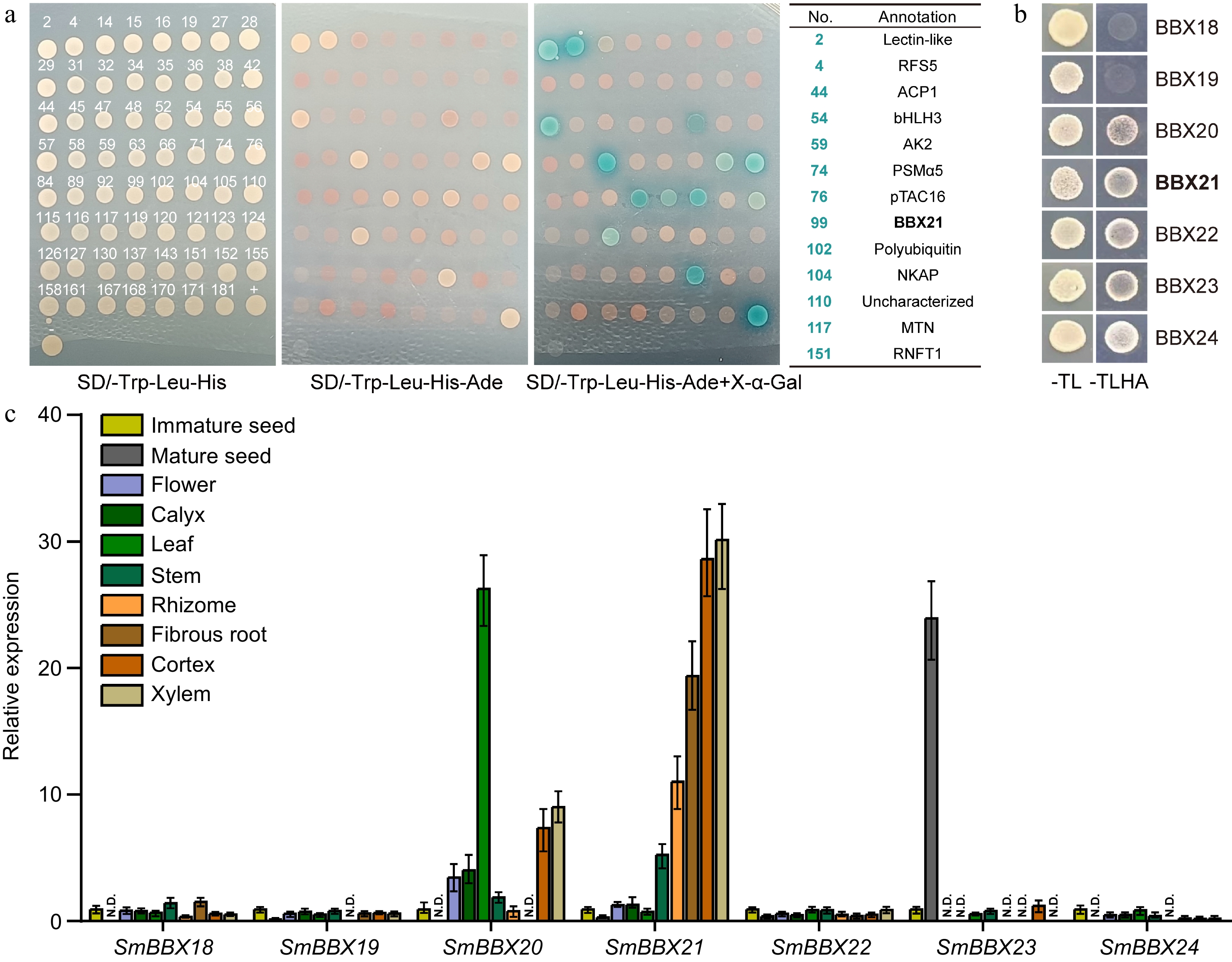 Transcriptome and yeast two-hybrid sequencing shed light on the ...