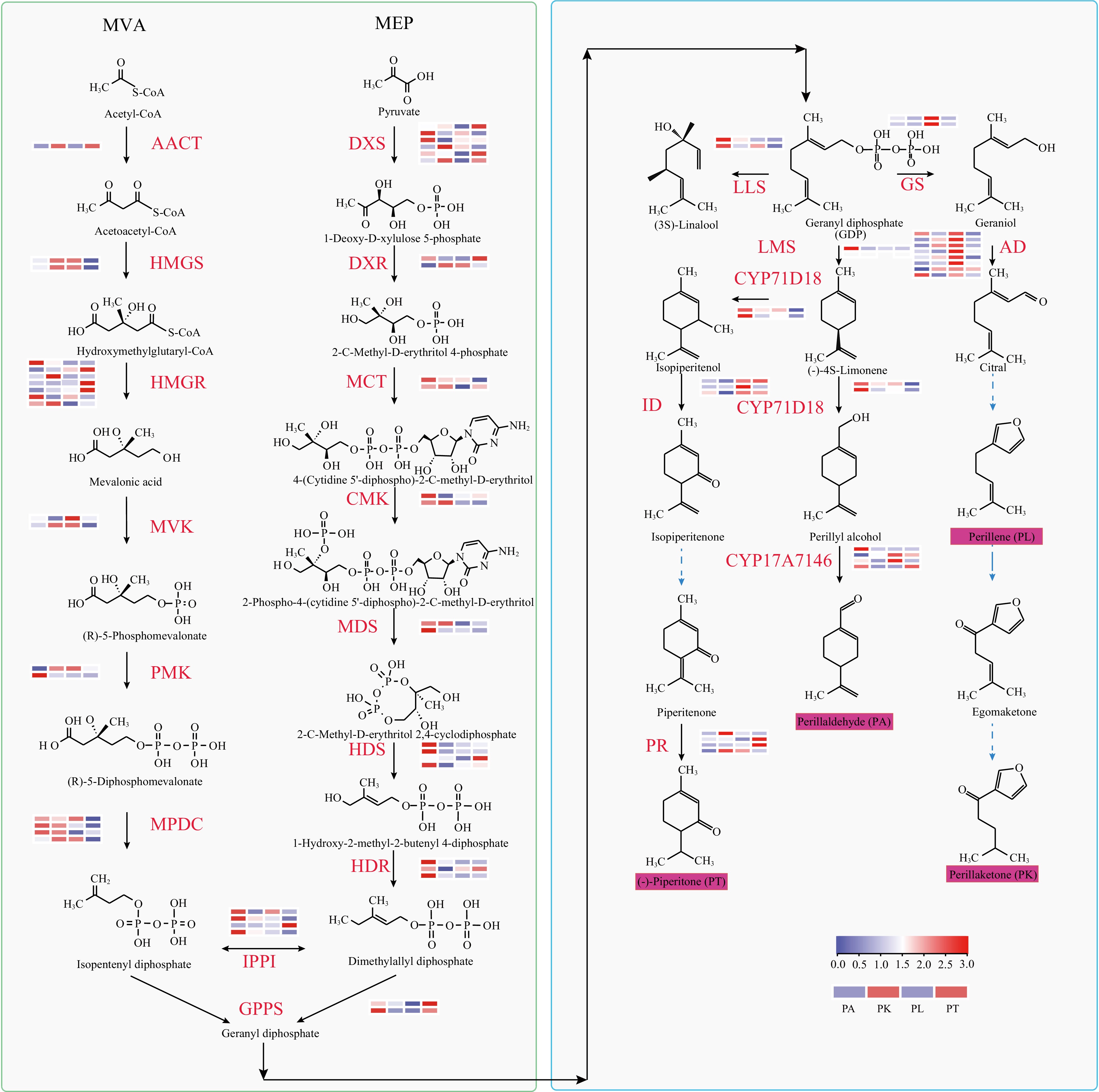 Analysis of monoterpene biosynthesis and functional TPSs of Perilla ...