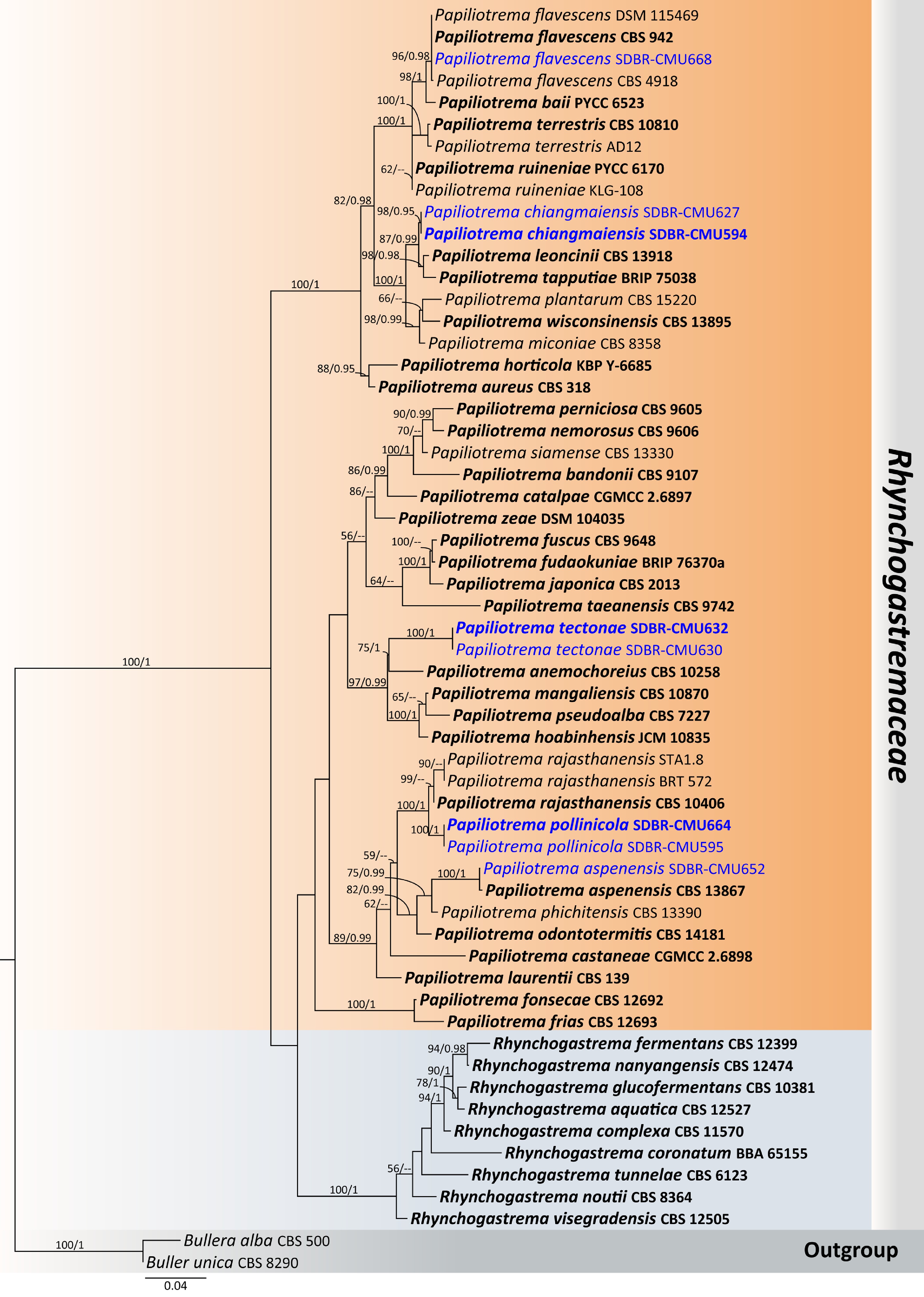 Anthophilous cryptic yeasts an integrative polyphasic approach reveals ...