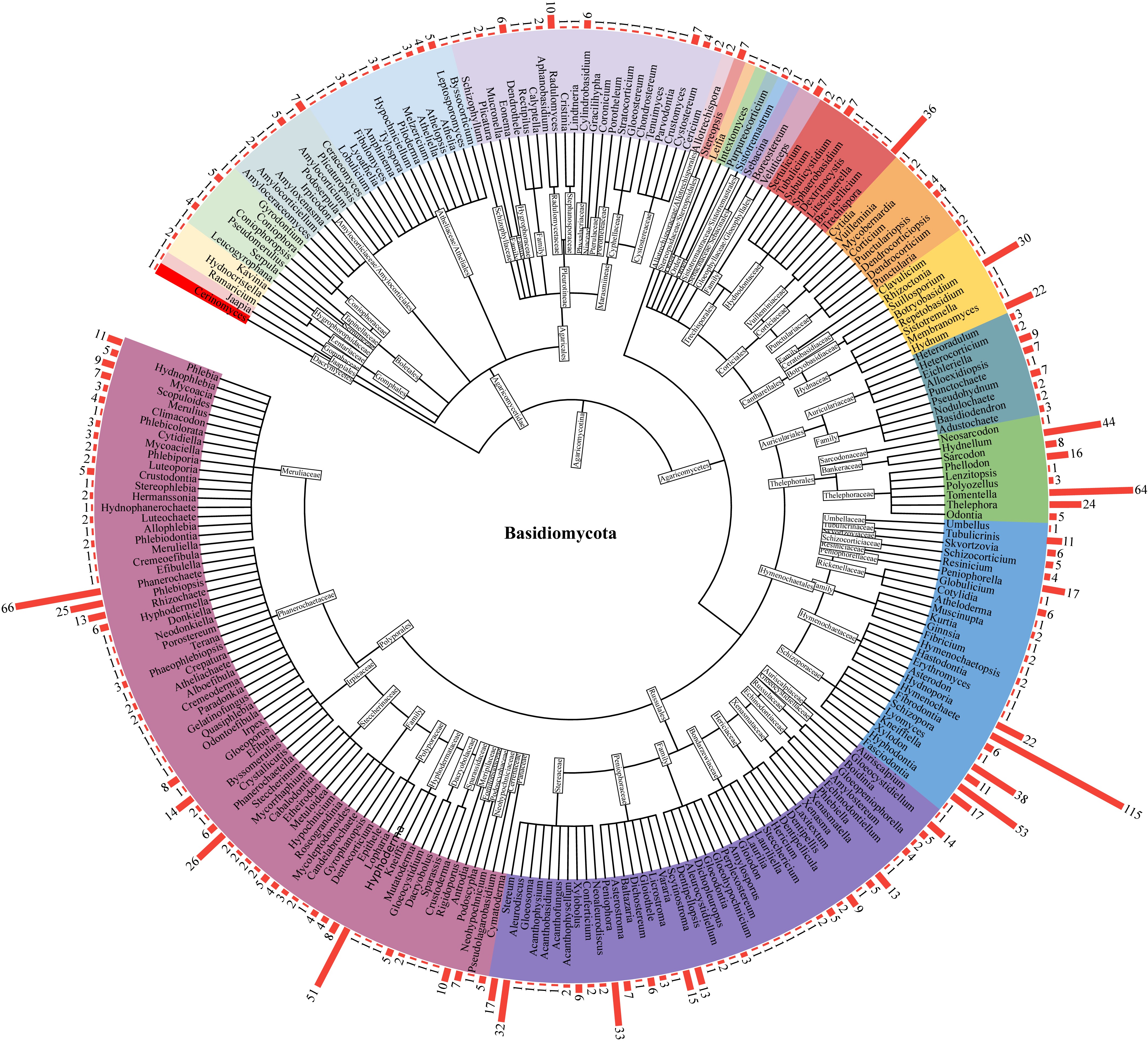 Species diversity of corticioid and hydnoid fungi in China and their ...
