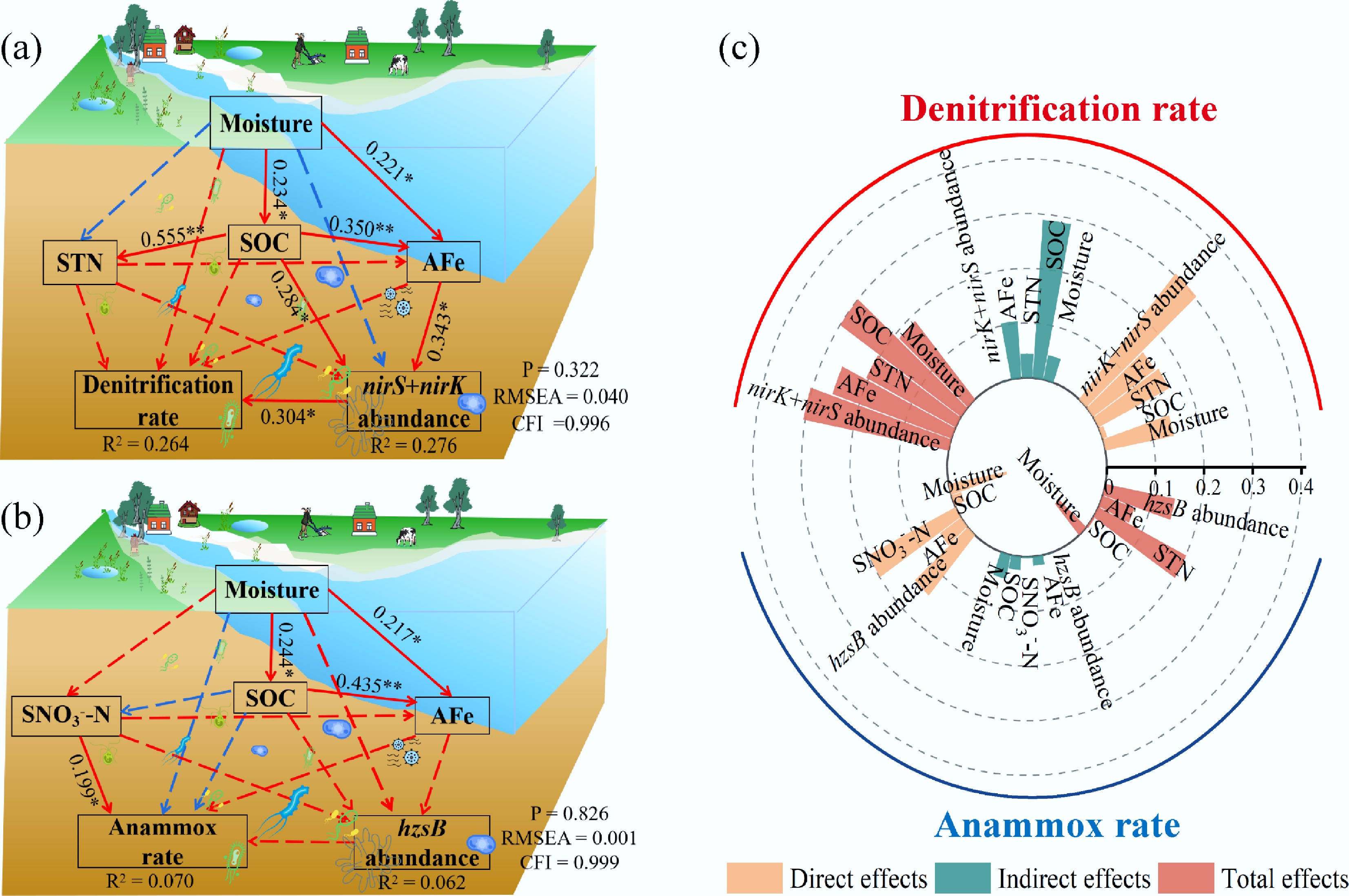 Relative contributions of denitrification and anammox to nitrogen ...