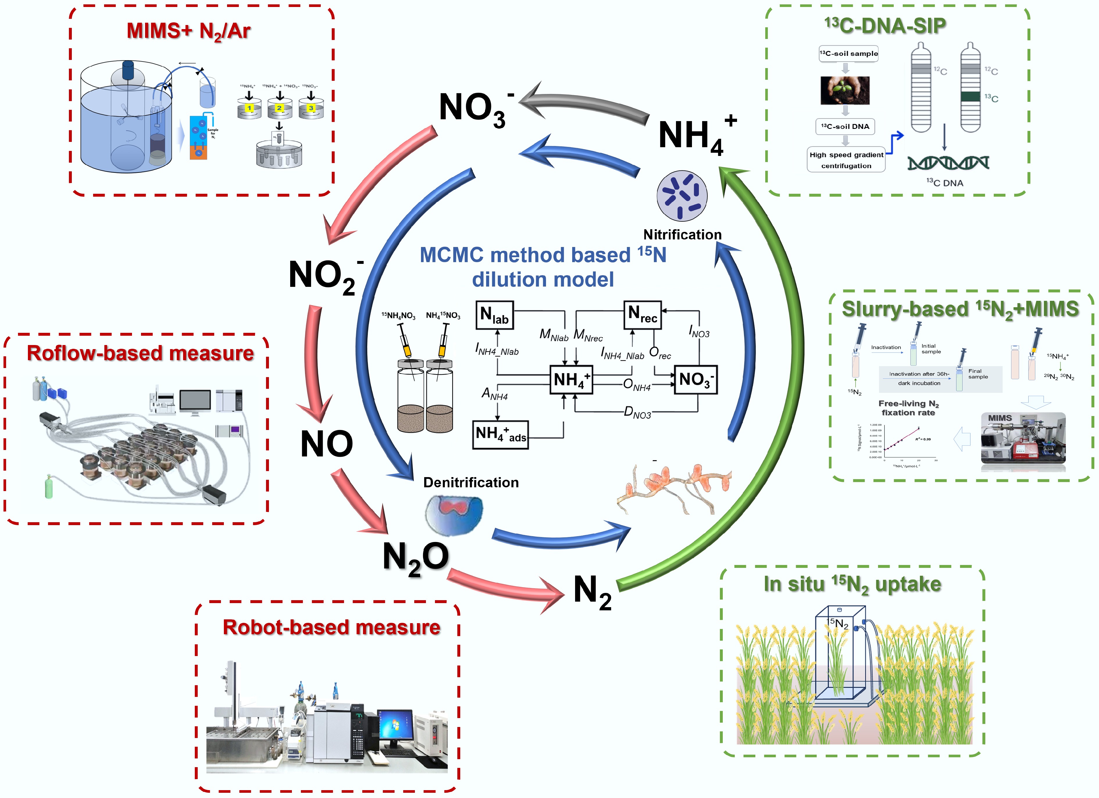 Uncovering the soil nitrogen cycle from microbial pathways to global ...