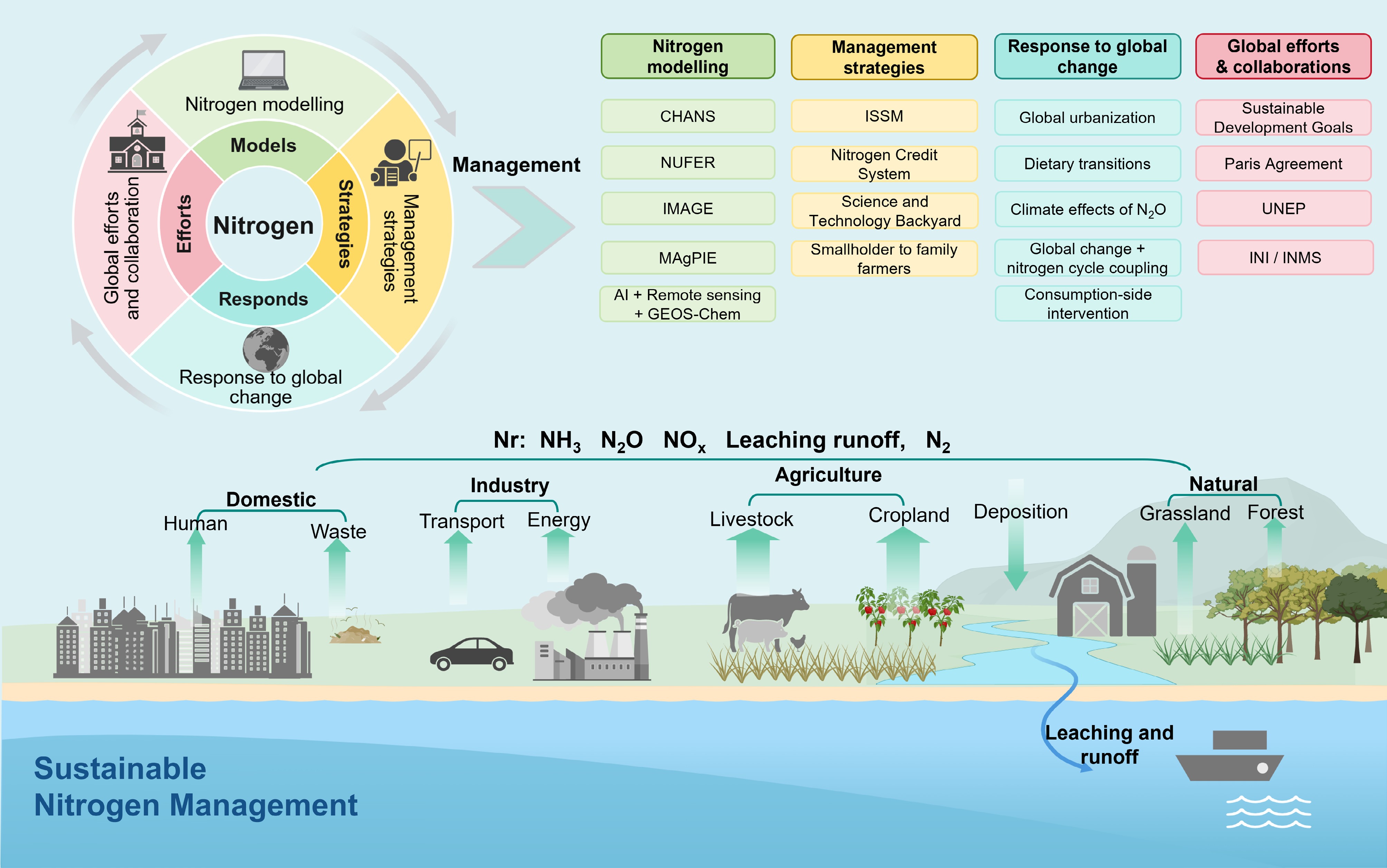 Uncovering the soil nitrogen cycle from microbial pathways to global ...