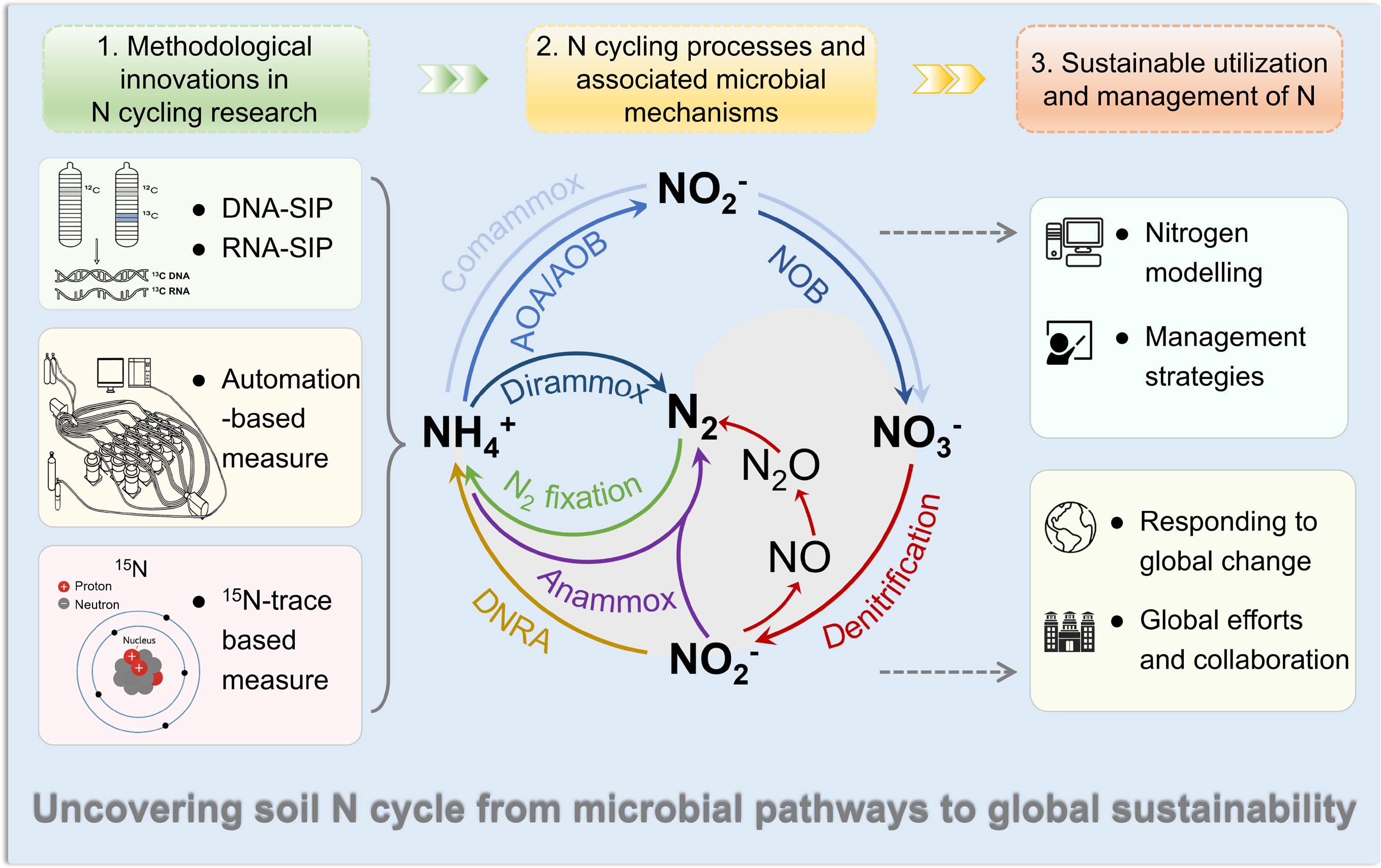 Uncovering the soil nitrogen cycle from microbial pathways to global ...