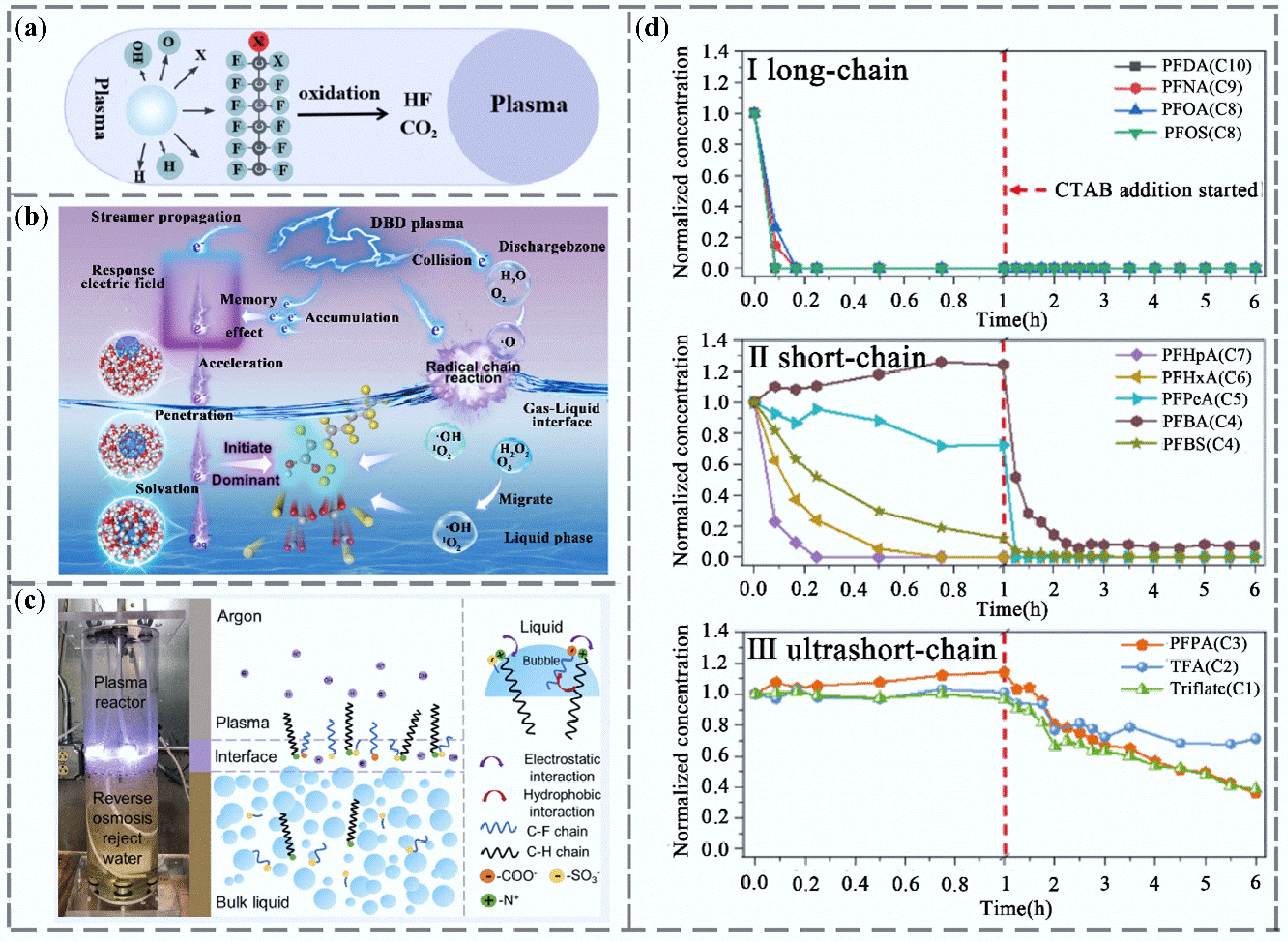 Disrupting the forever chemicals cutting-edge physicochemical ...