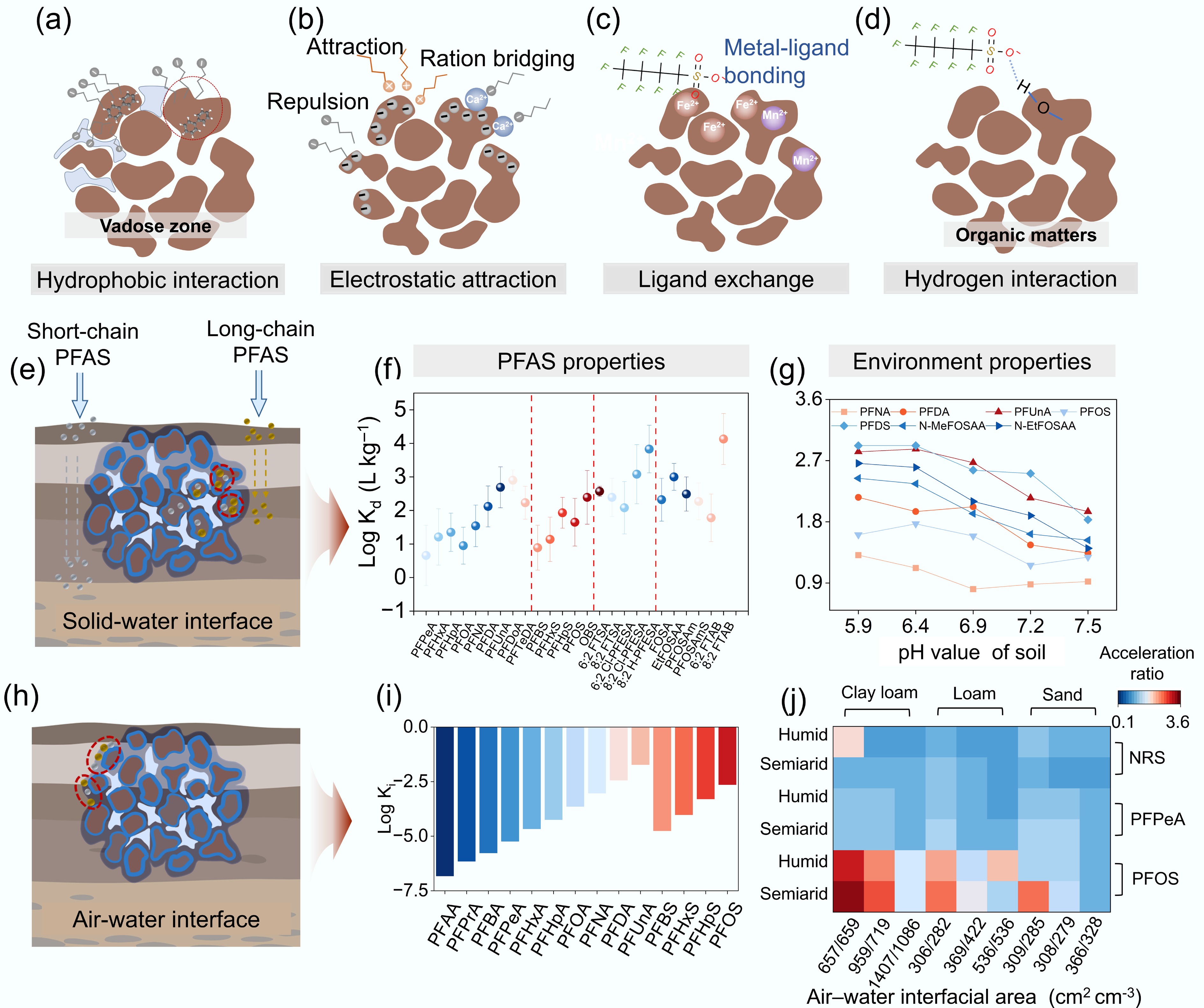 Sources and transport of per- and polyfluoroalkyl substance (PFAS) in ...