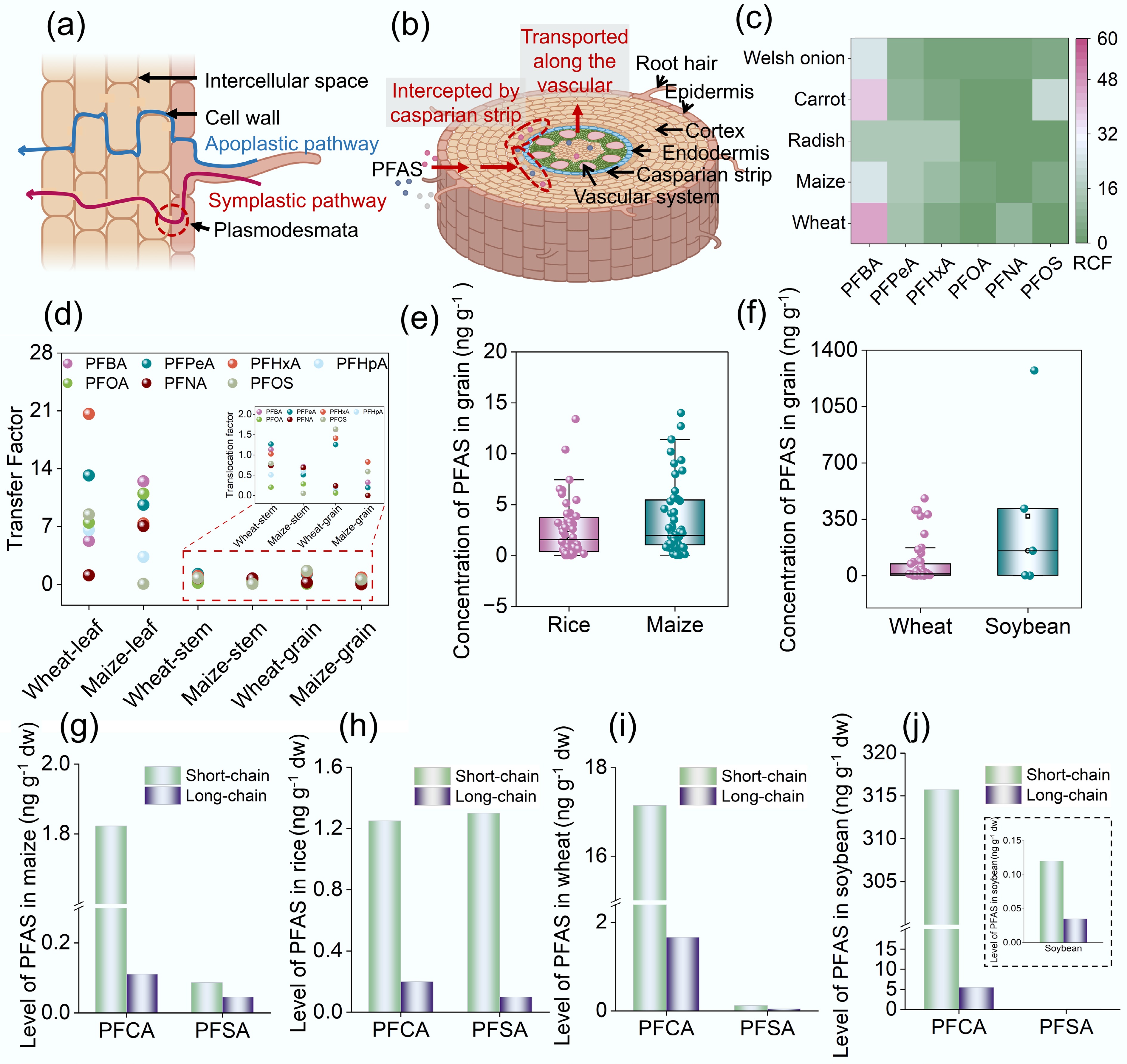 Sources and transport of per- and polyfluoroalkyl substance (PFAS) in ...