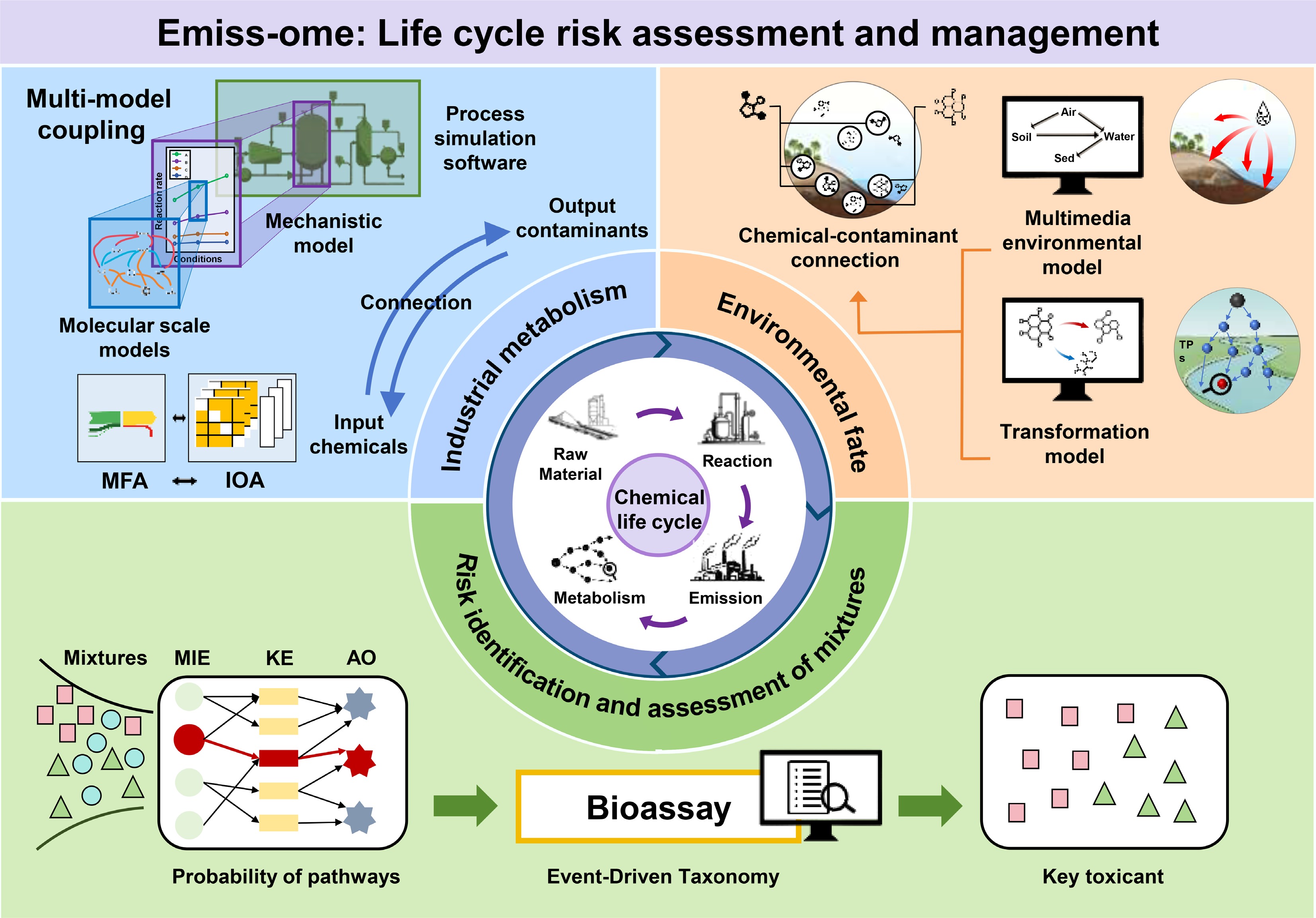 Life cycle risk assessment and management of industrial chemicals ...
