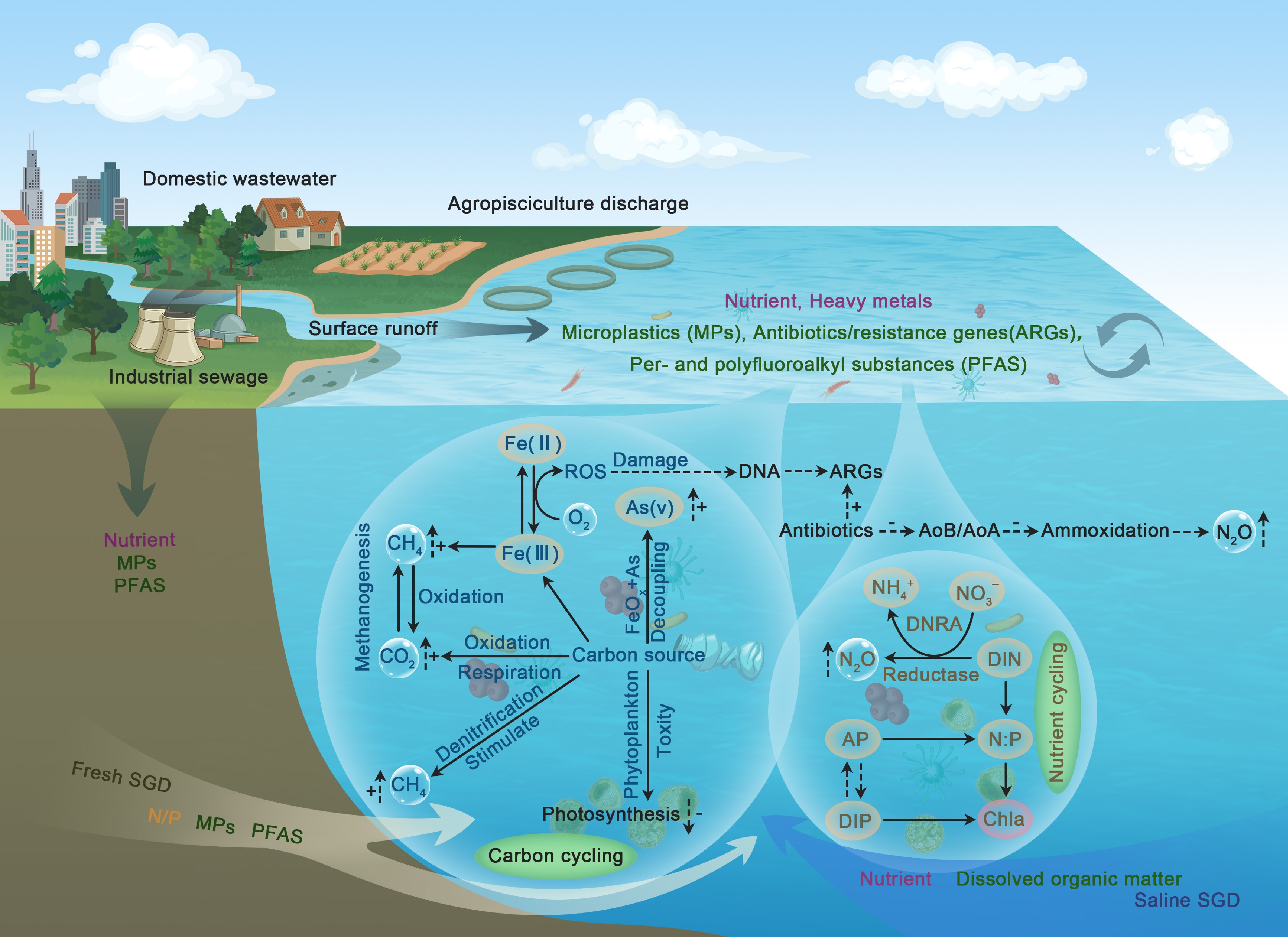 Unveiling the hidden ecological risks of emerging entangled with legacy ...