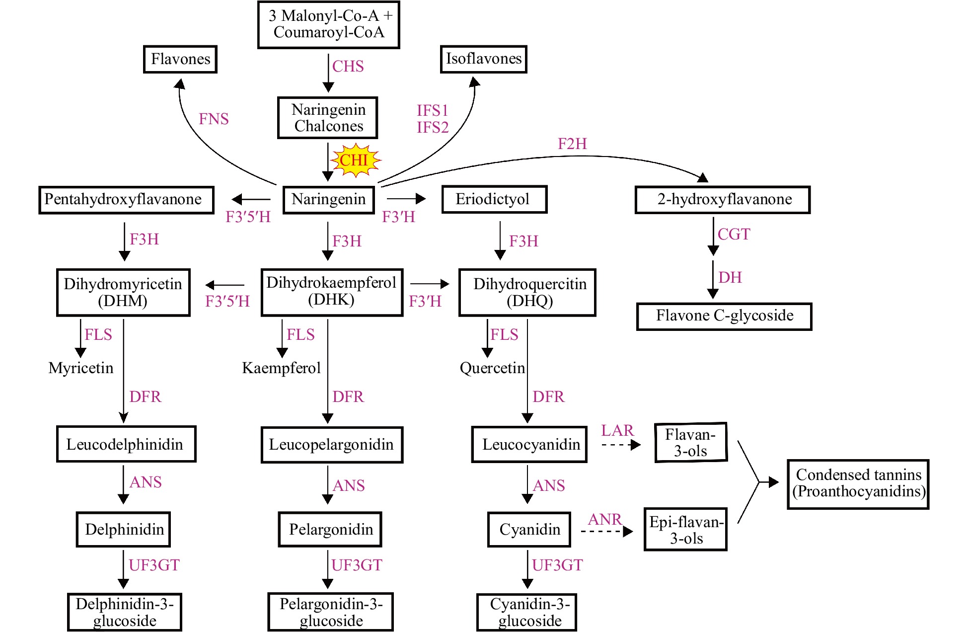 Cloning and Functional Characterization of Chalcone Isomerase Genes ...