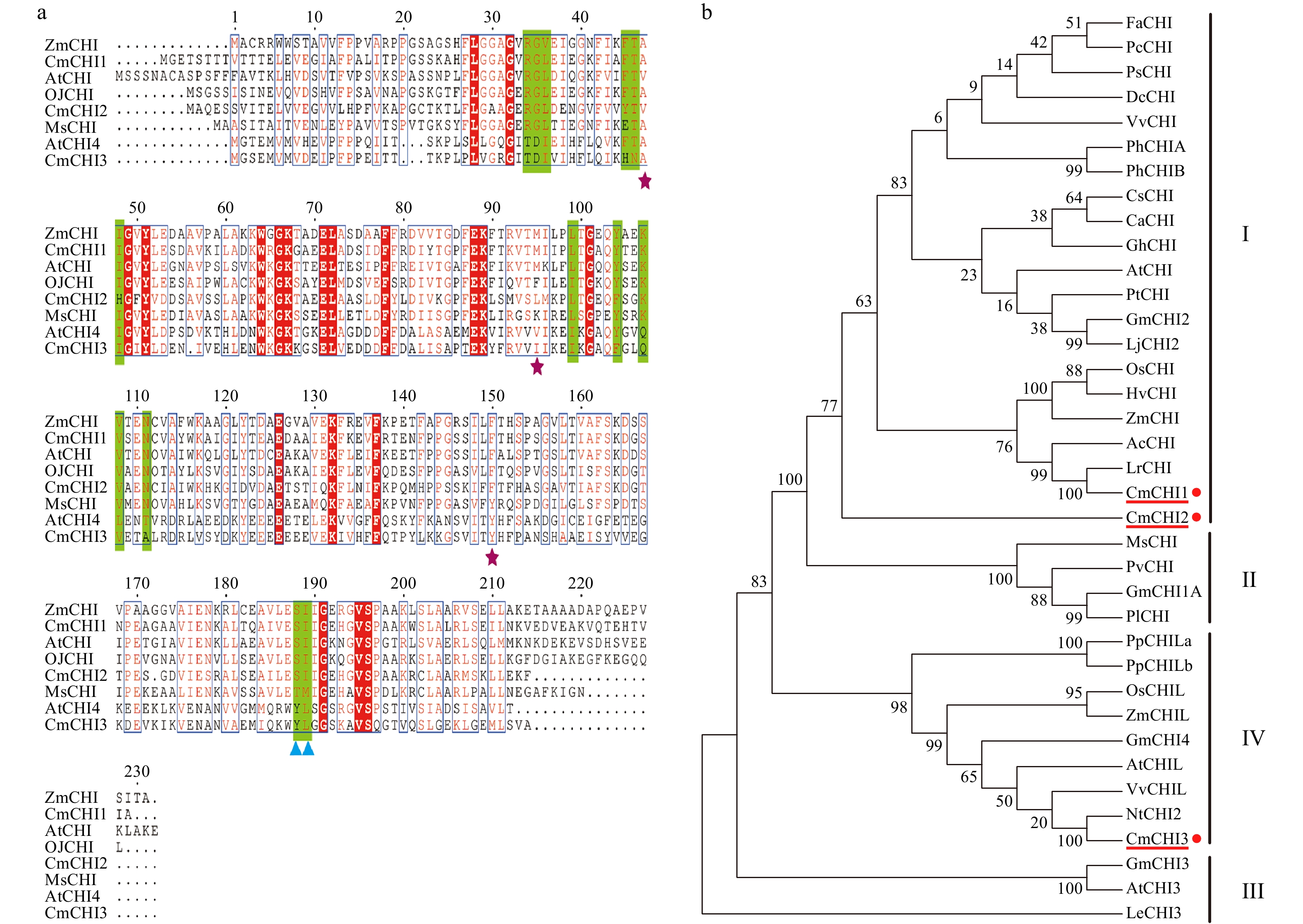 Cloning and Functional Characterization of Chalcone Isomerase Genes ...