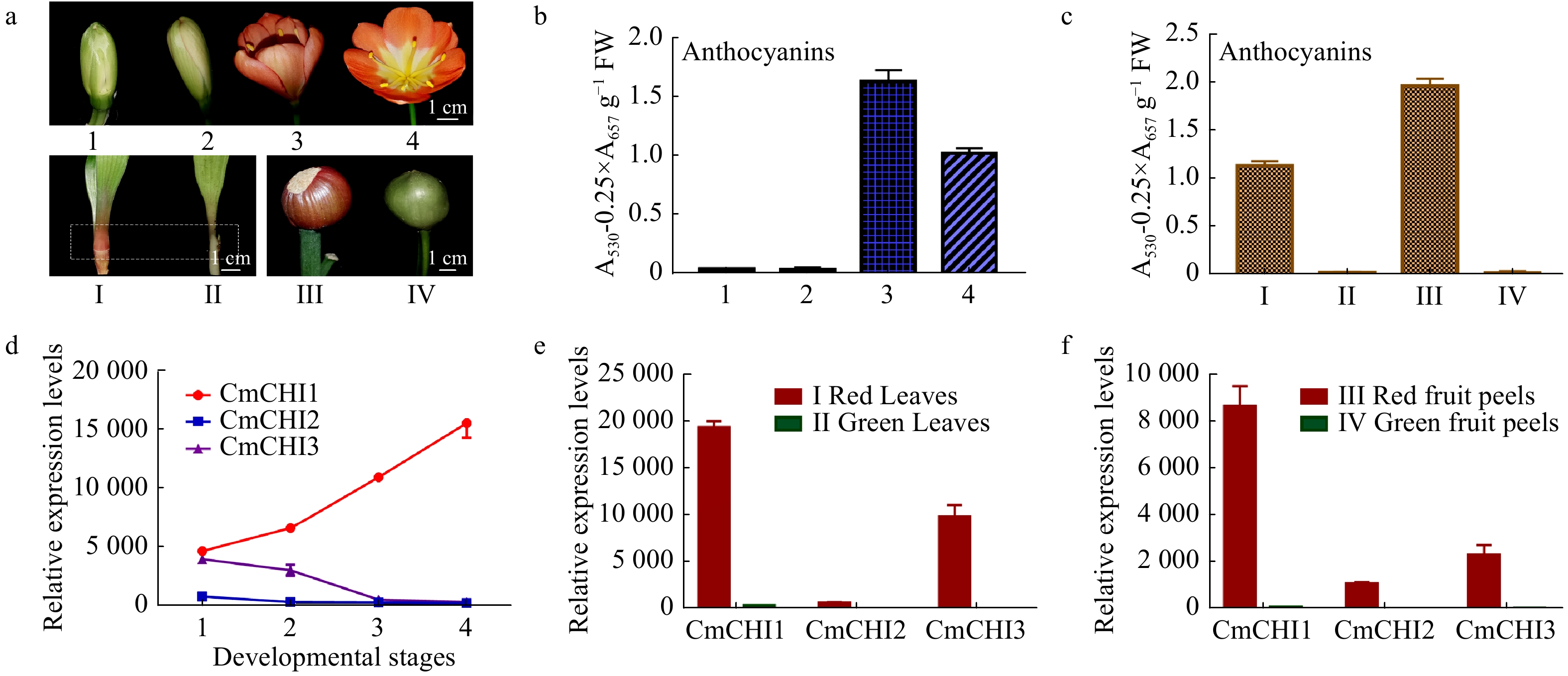 Cloning and Functional Characterization of Chalcone Isomerase Genes ...