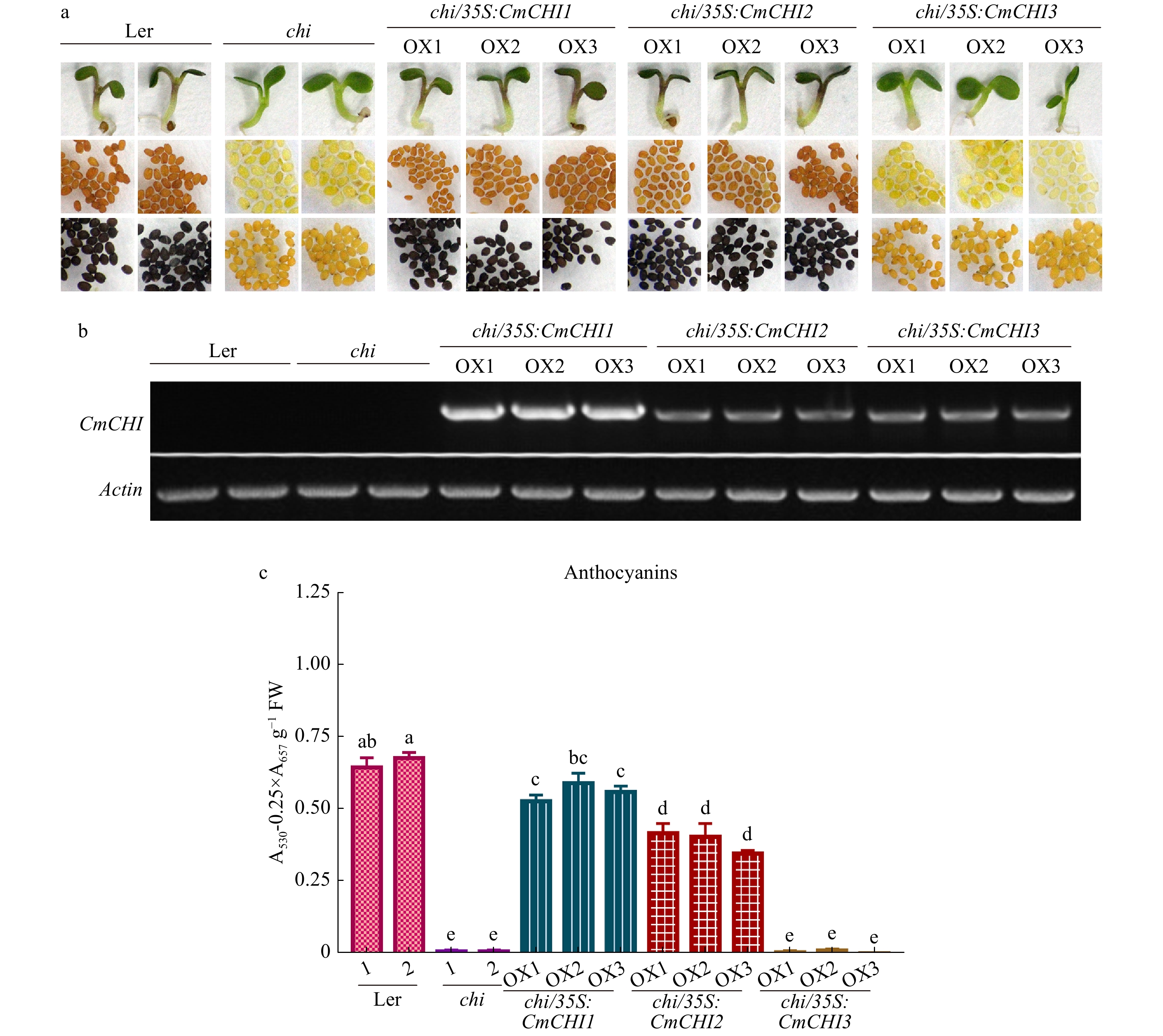 Cloning and Functional Characterization of Chalcone Isomerase Genes ...