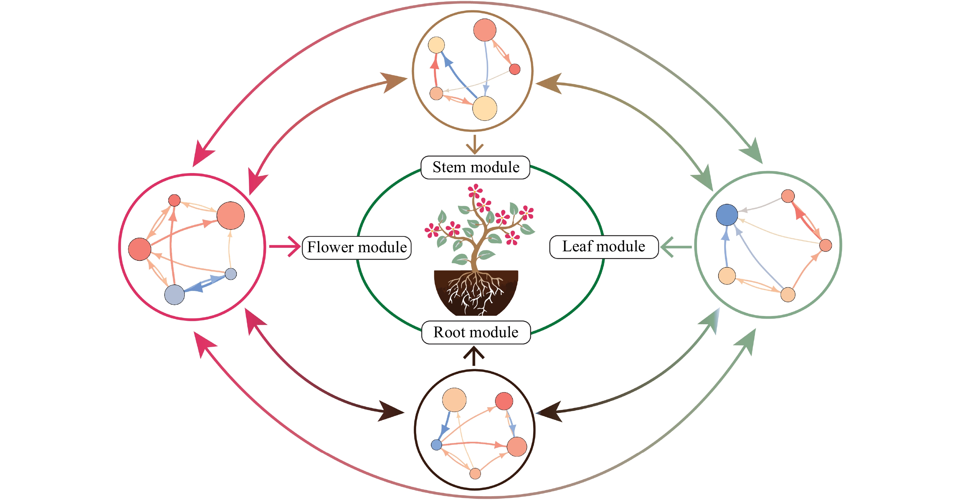 Mapping the genetic architecture of developmental modularity in ...
