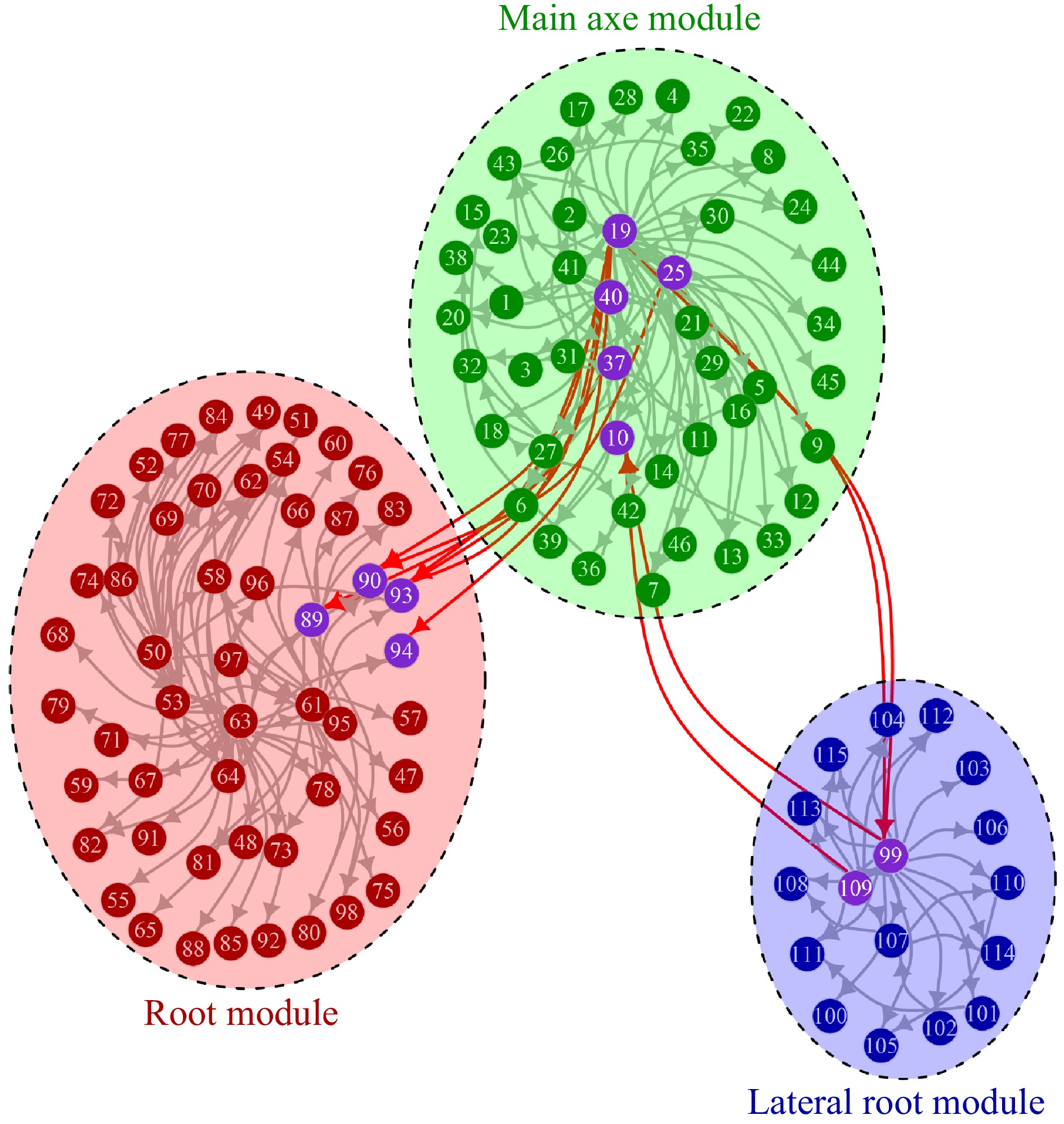 Mapping the genetic architecture of developmental modularity in ...