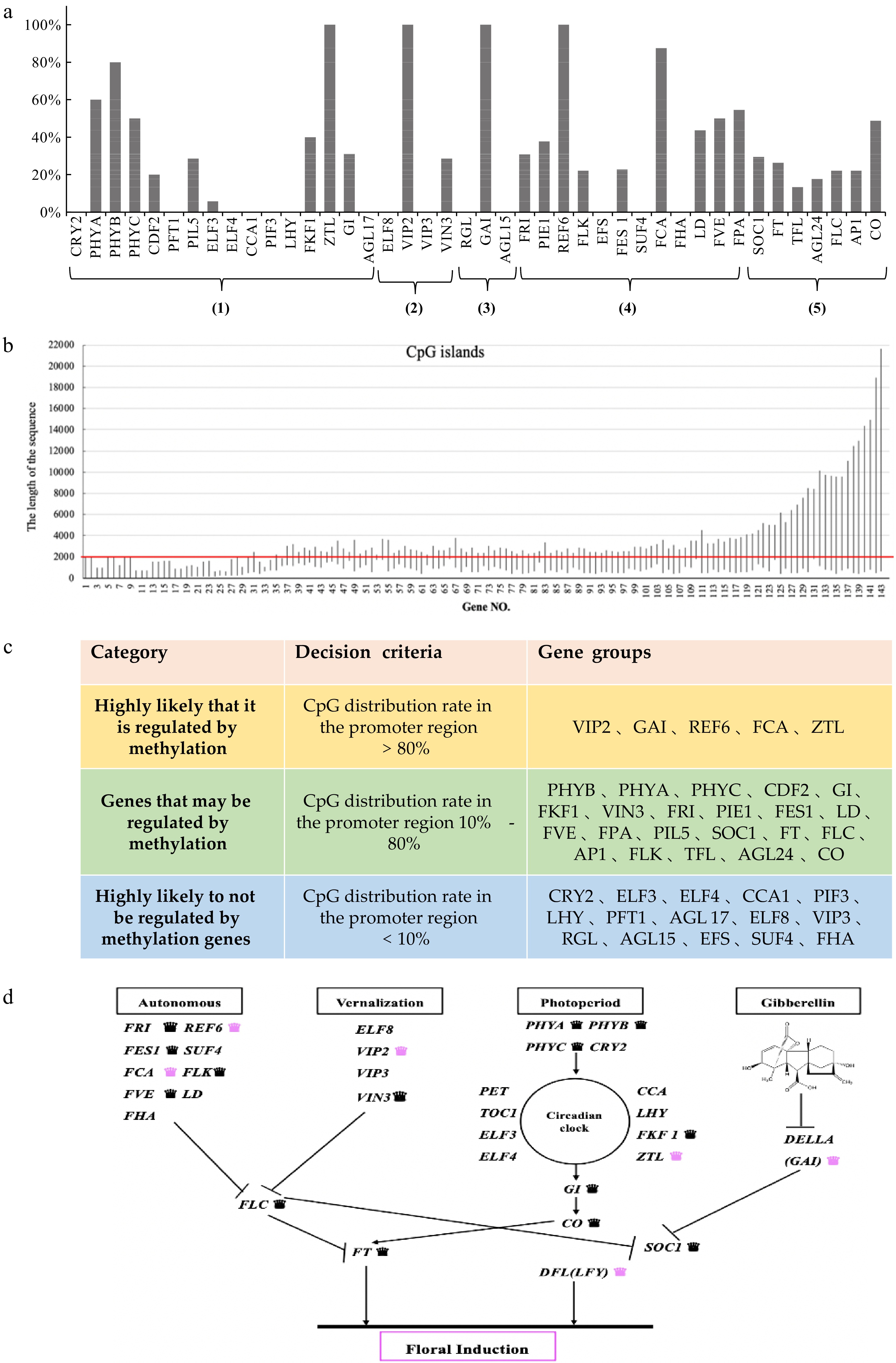 MBD protein recognizes flower control genes regulated by DNA ...