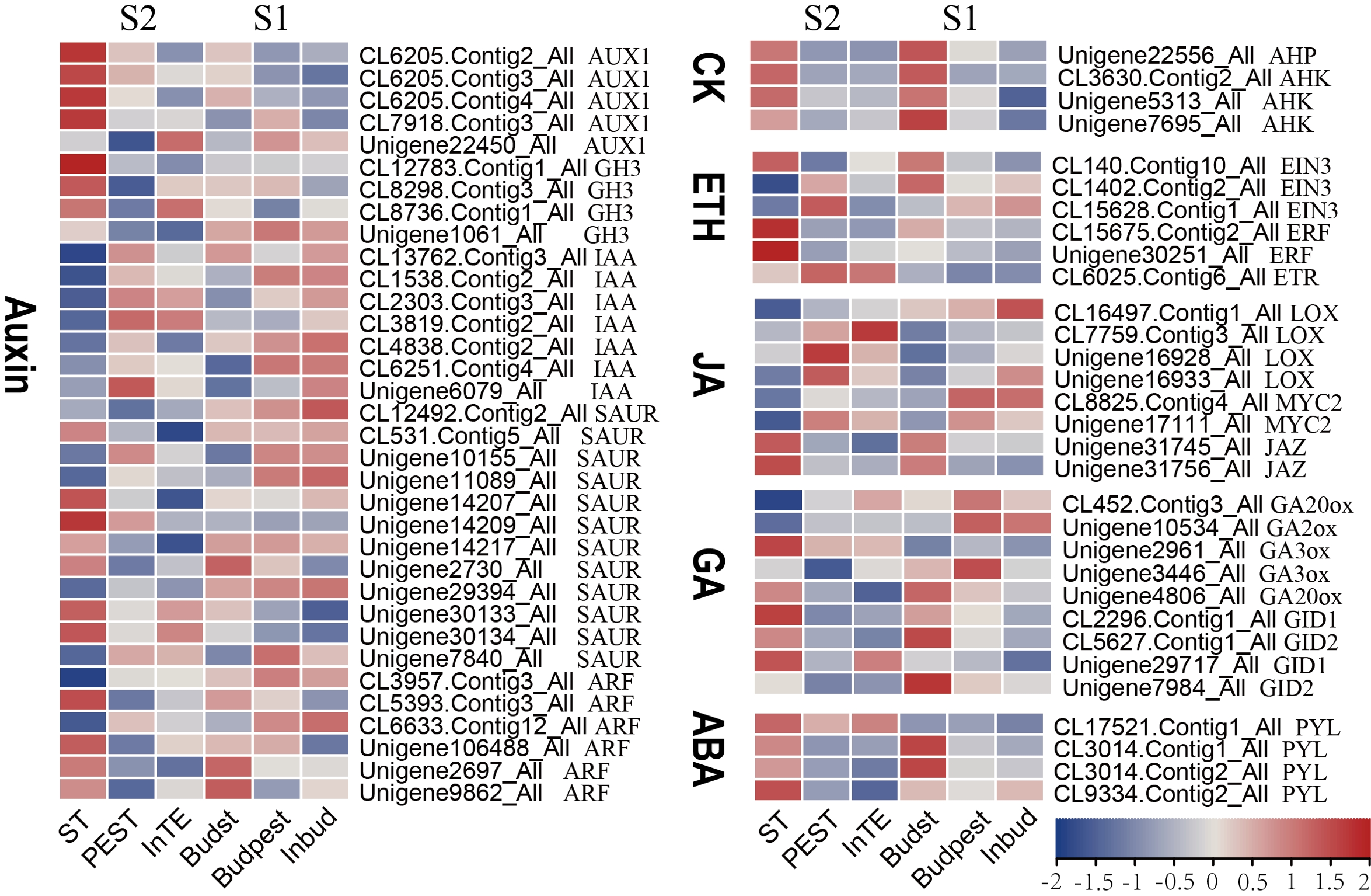 Transcriptome profiling during double-flower development provides ...