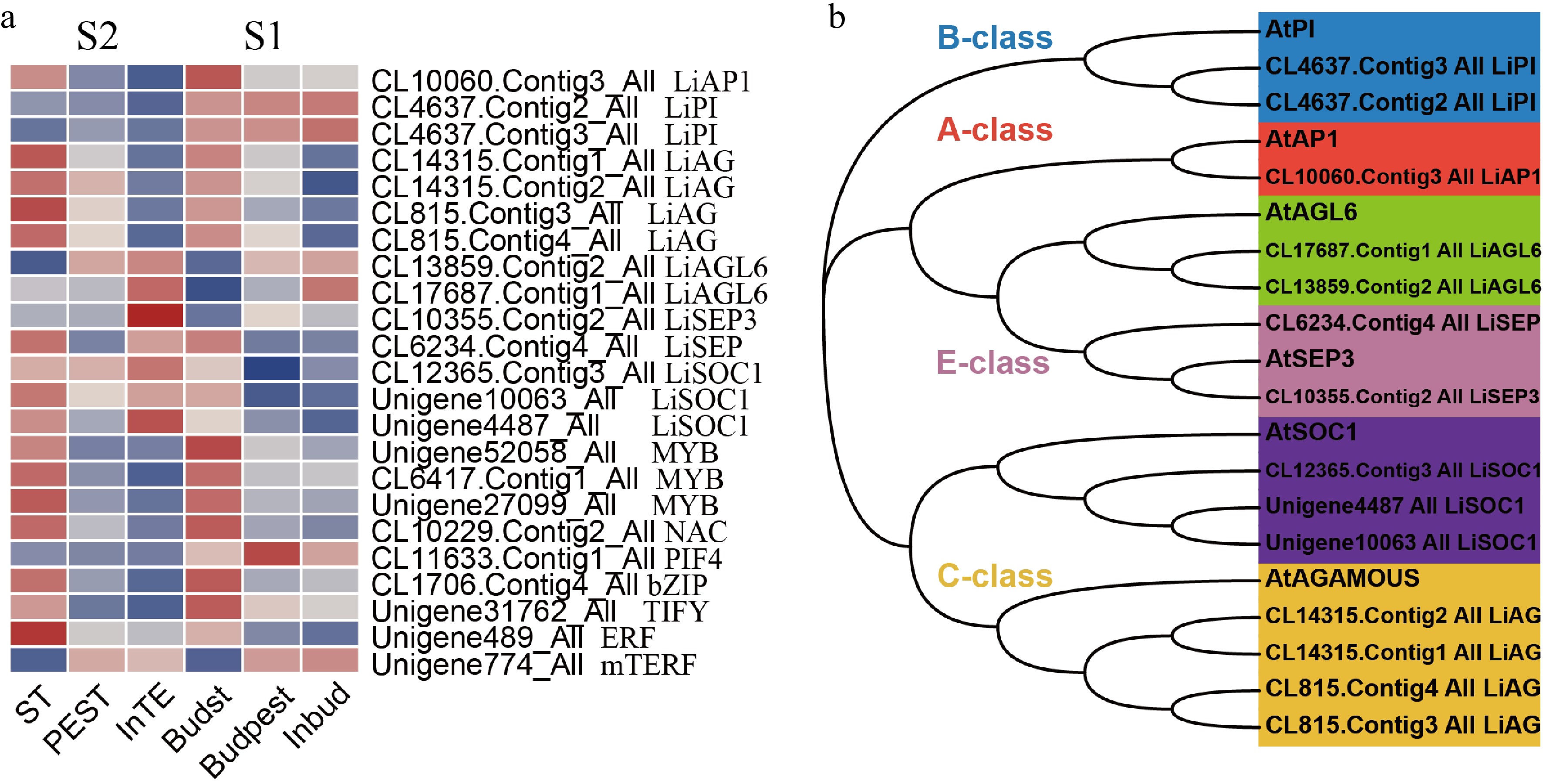 Transcriptome profiling during double-flower development provides ...