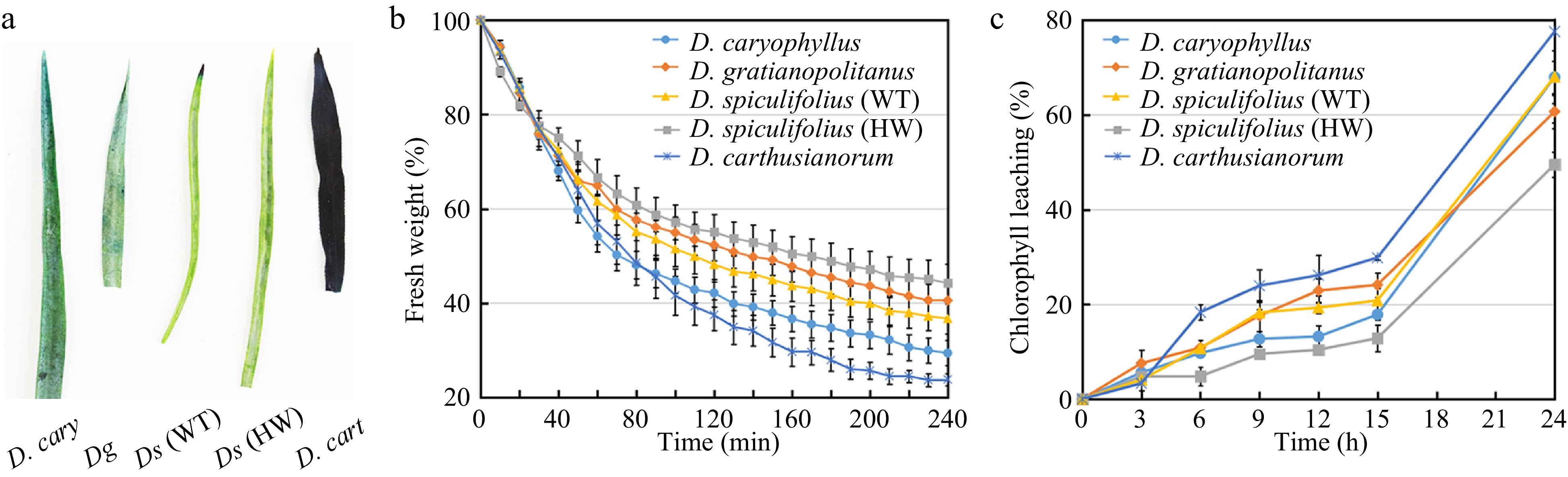 Tubular epicuticular wax is an important trait for limiting non ...