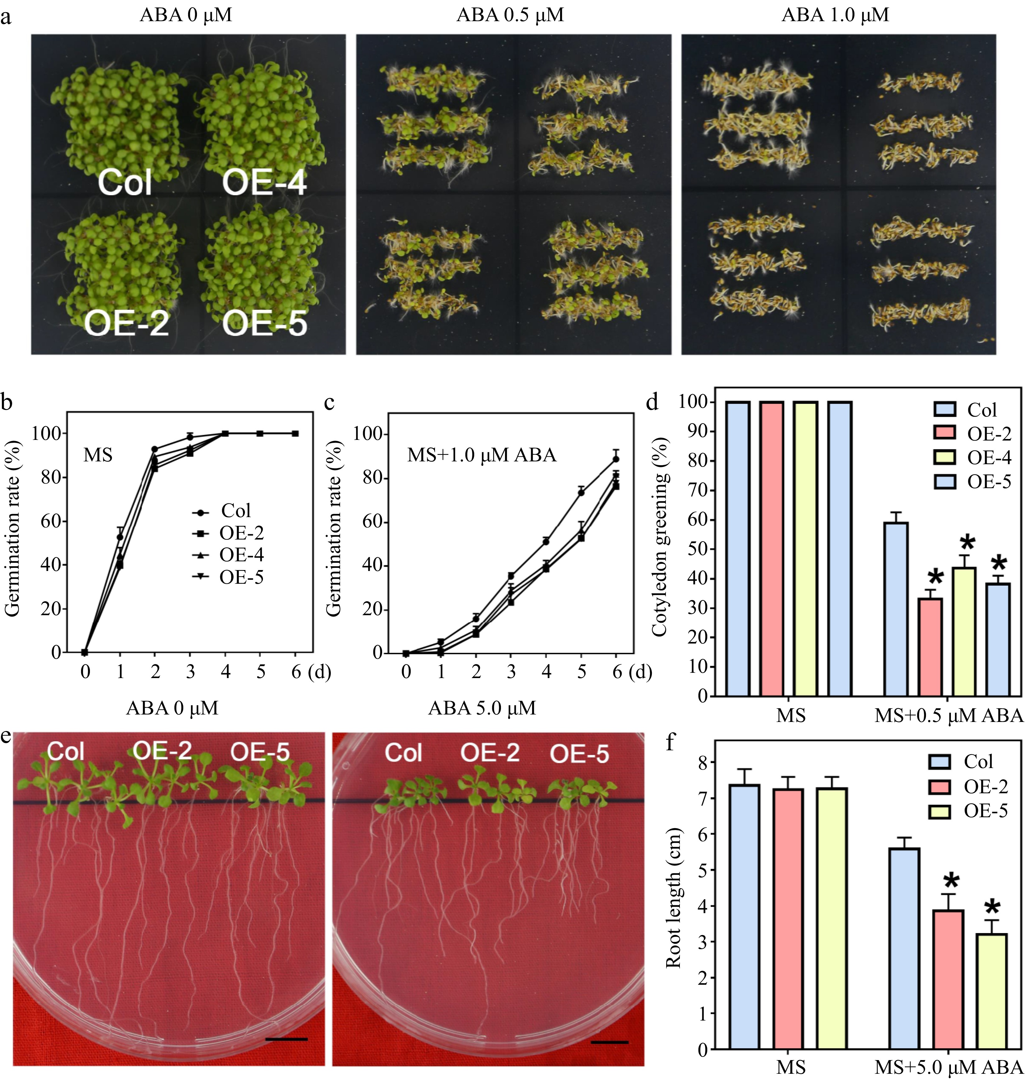 Overexpression of lily LlWRKY22 enhances multiple abiotic stress ...