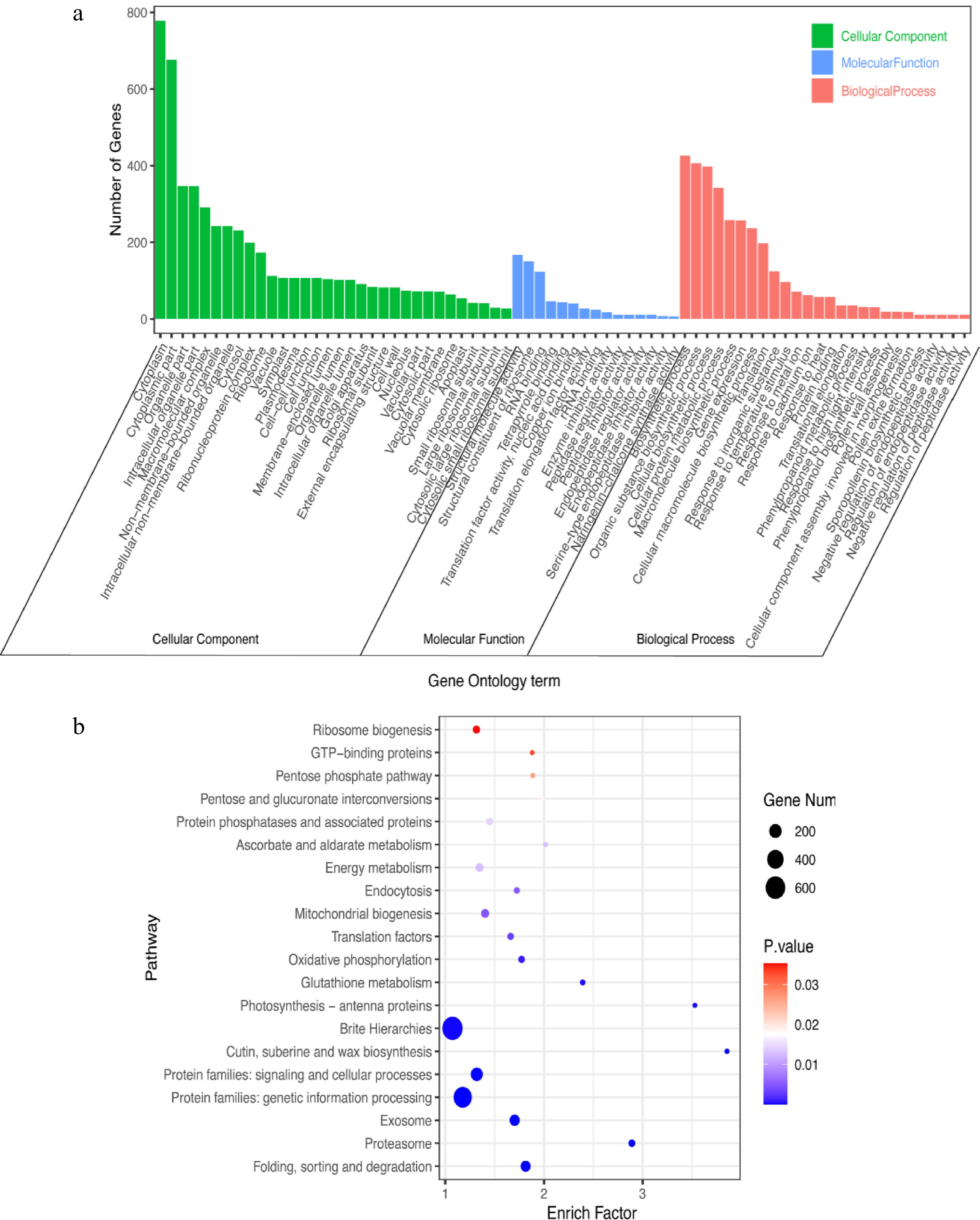 Transcriptome analysis of Clematis lanuginosa : Novel features of the ...