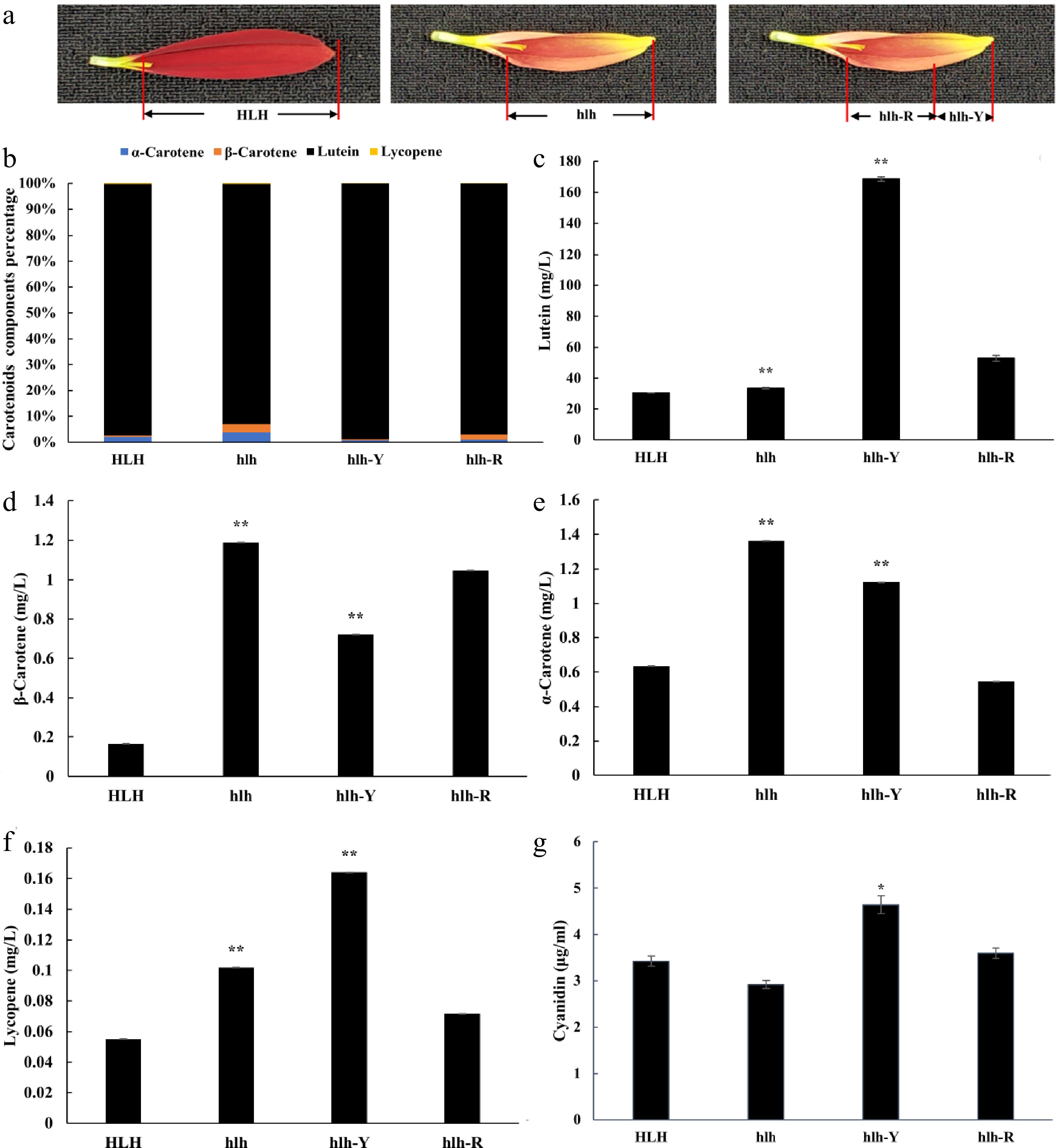 Transcriptome and chemical analyses identify candidate genes associated ...