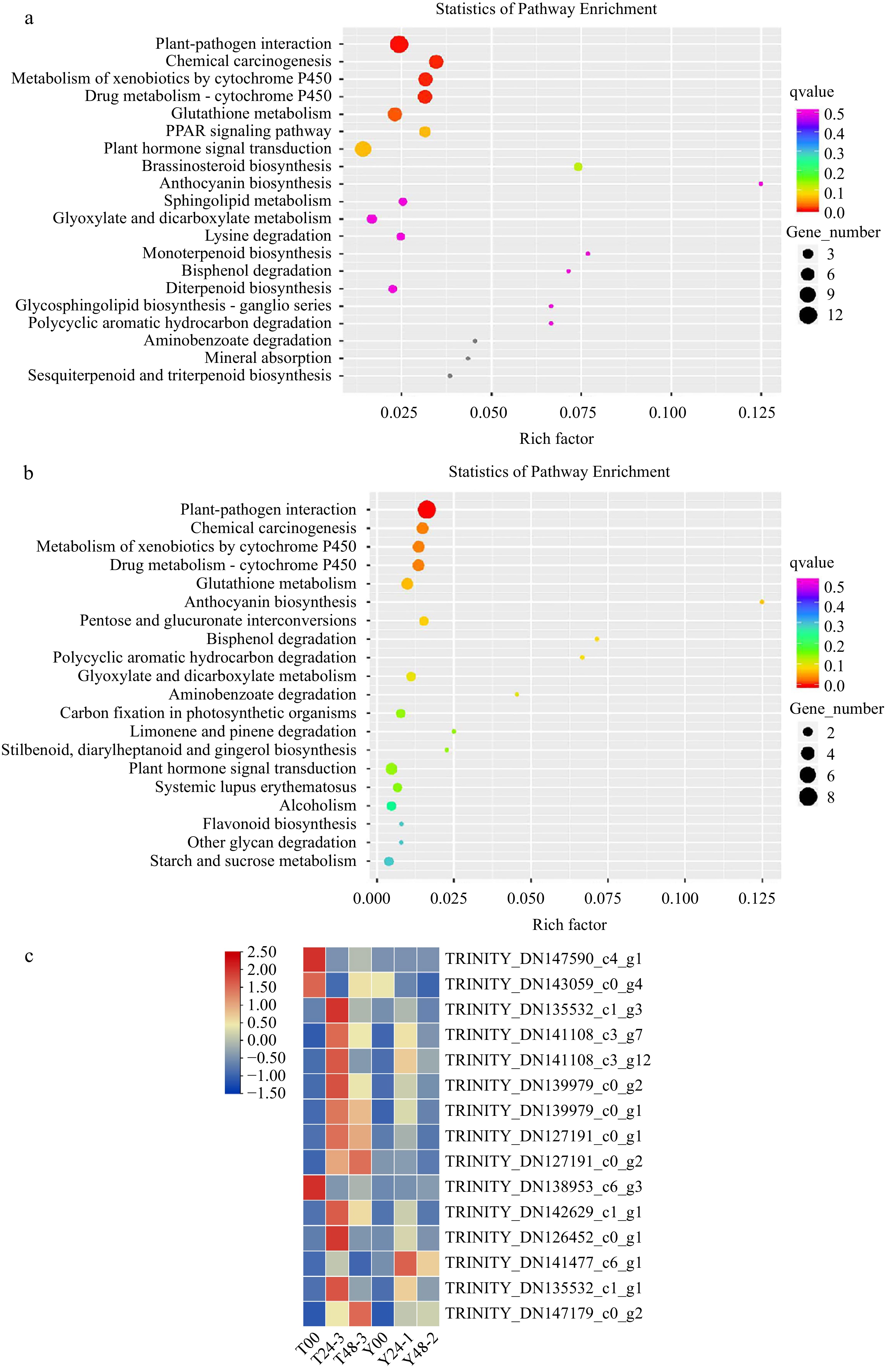 Comparative transcriptome and proteome analysis of lily clones ...