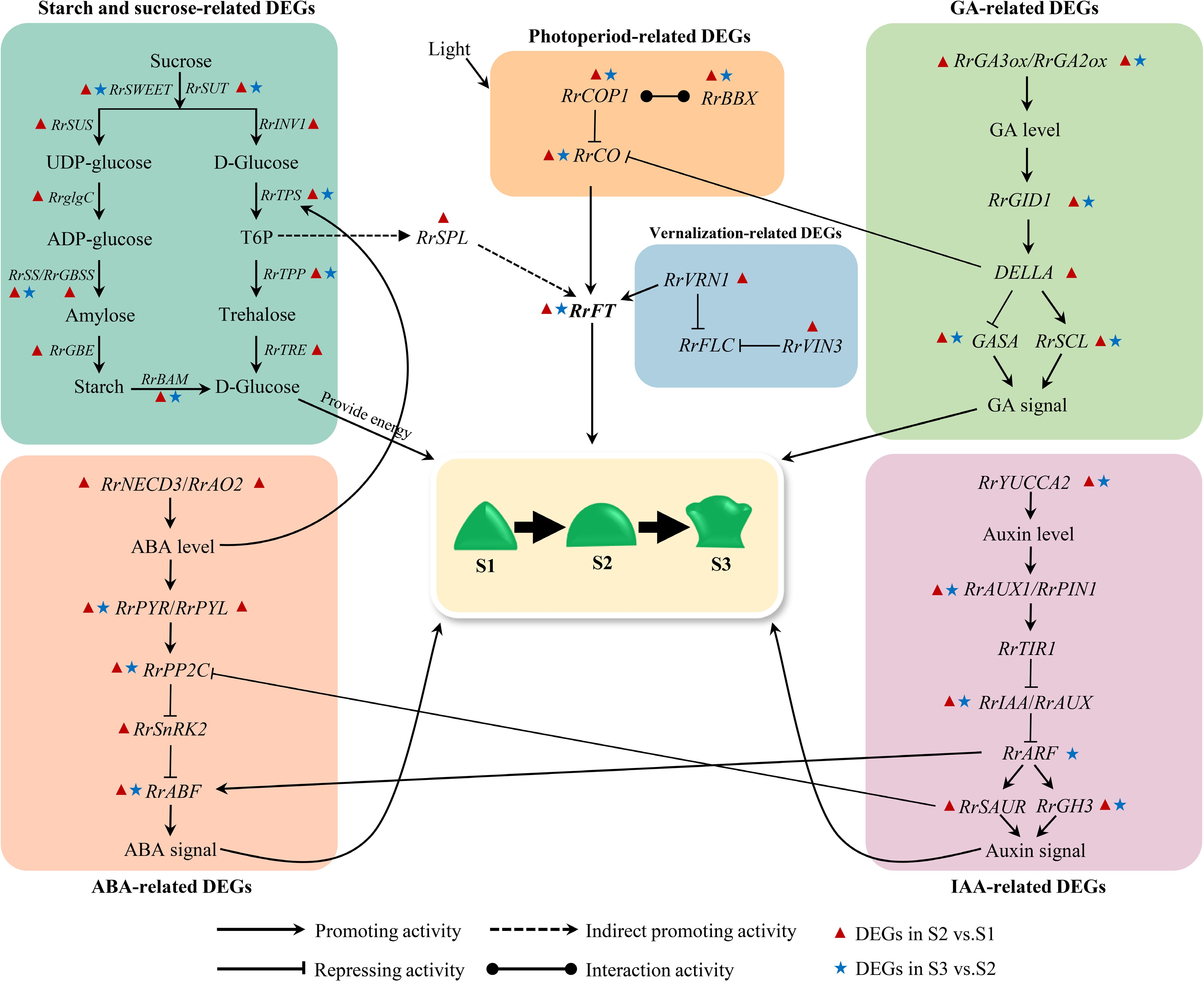 Physiological and transcriptome analyses to infer regulatory networks ...