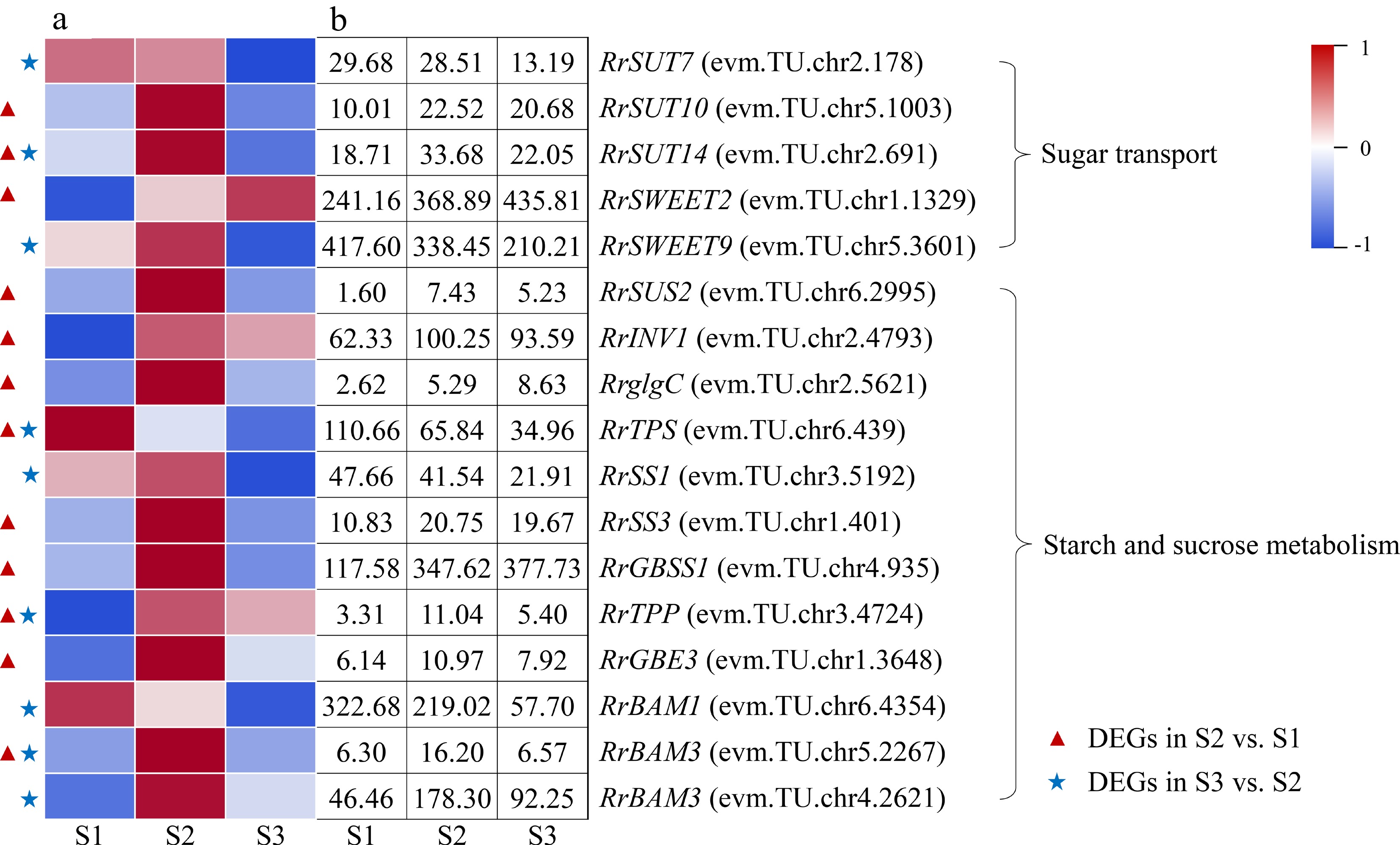 Physiological and transcriptome analyses to infer regulatory networks ...