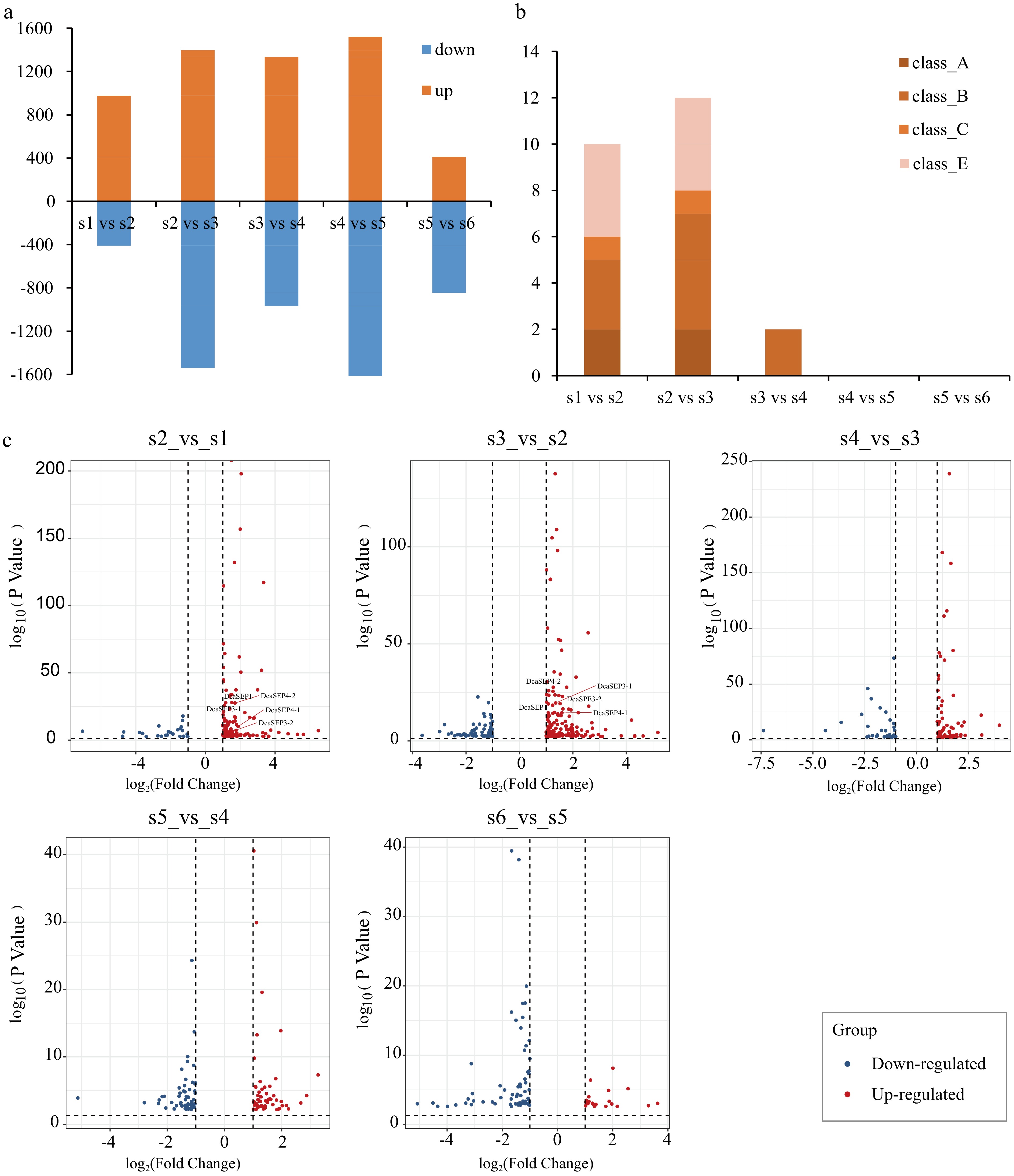 Identification and characterization of class E genes involved in floral ...